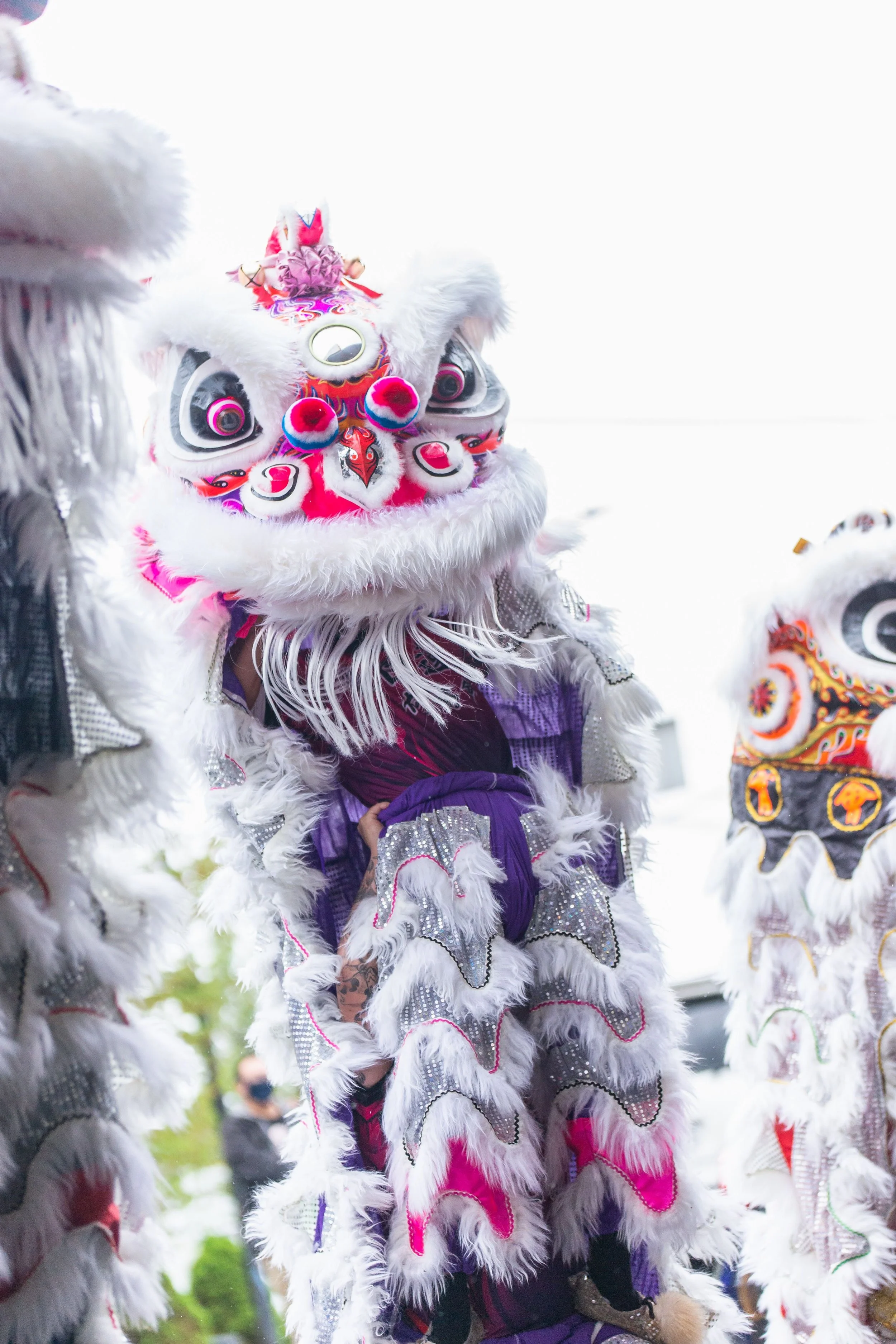 Learn About Lion Dance | Top Lion Dance Performance in Oregon — White ...