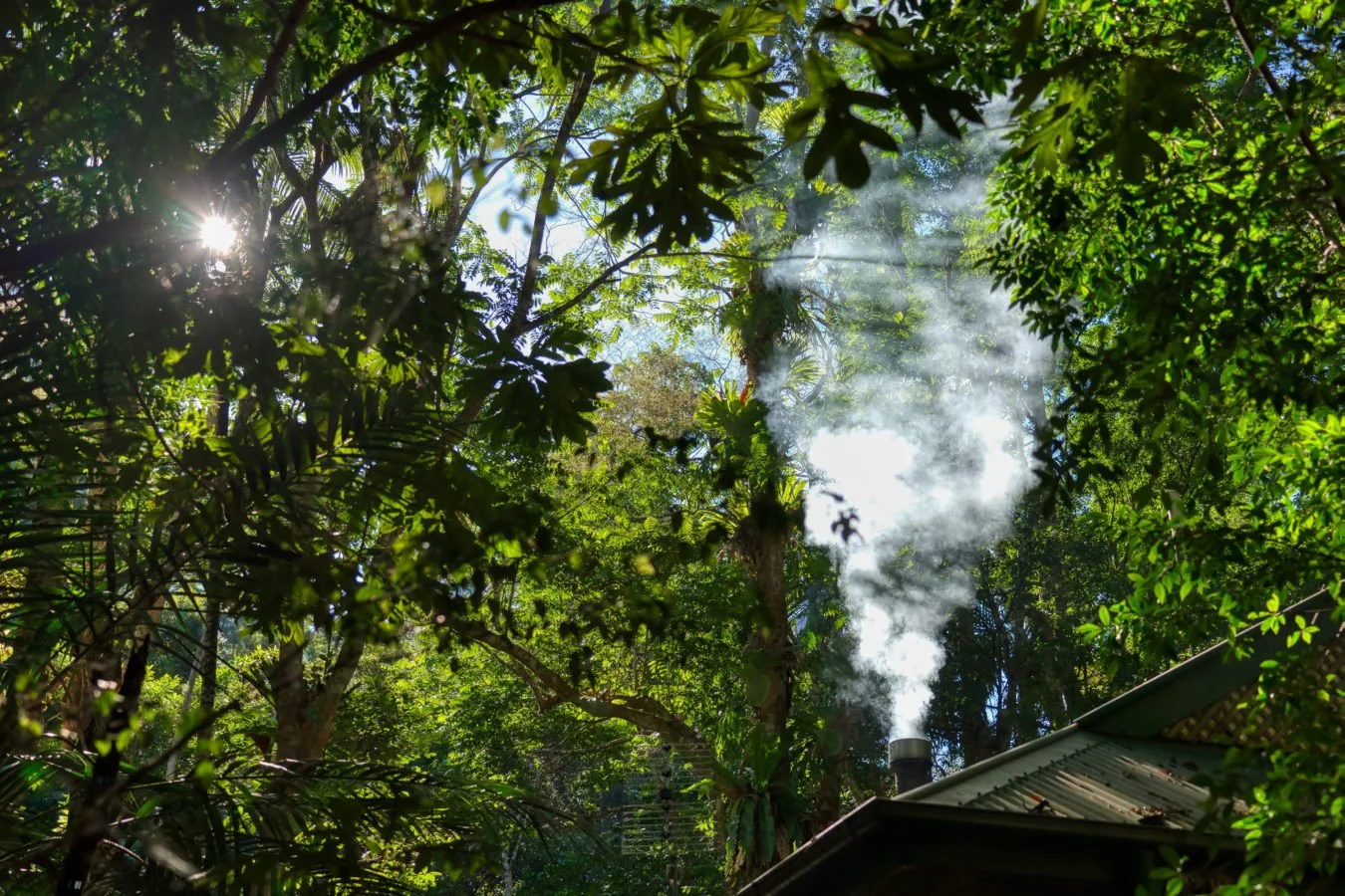 Sunshine Coast Great Walk (4 days) — Adventure Tribe
