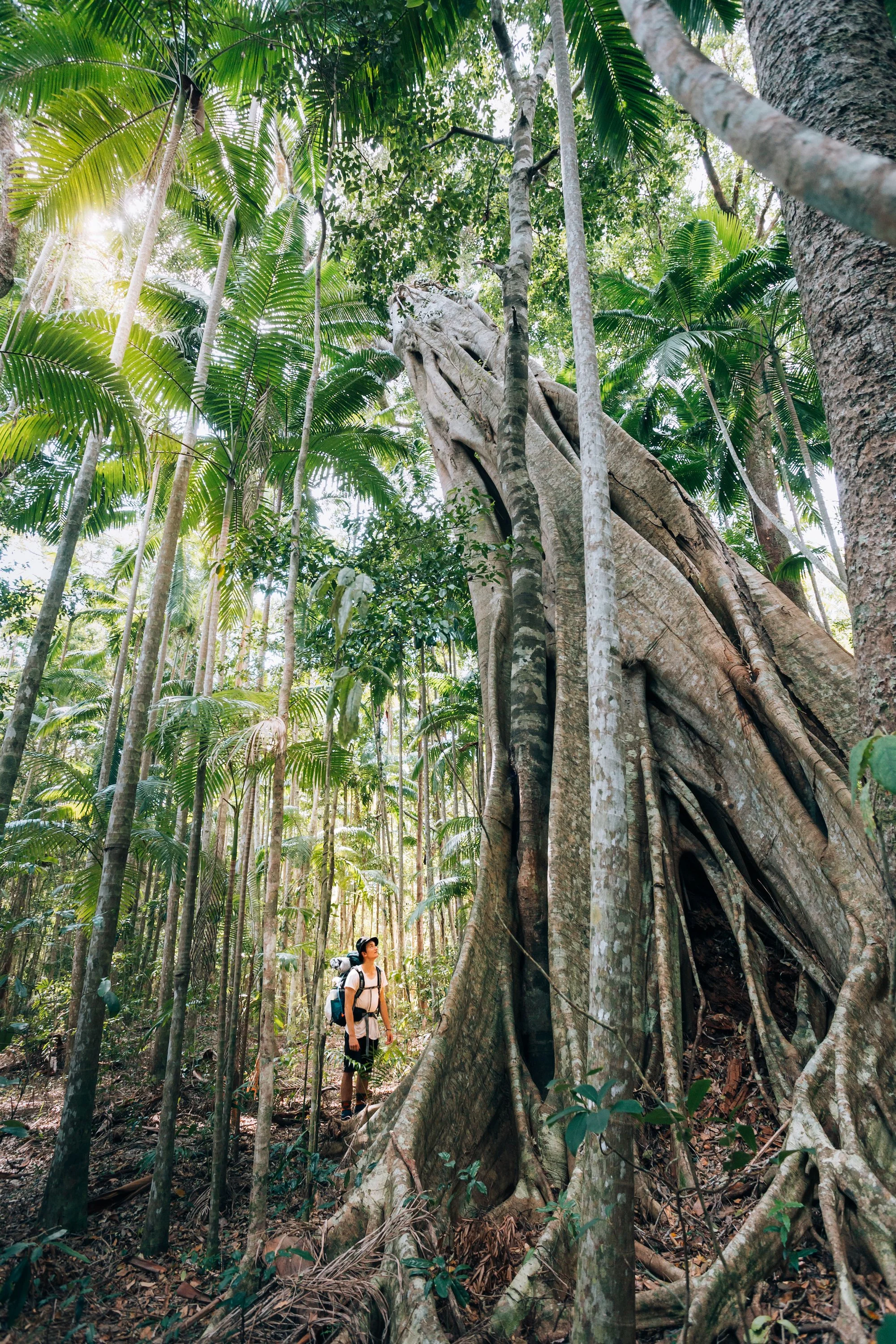 Cooloola Great Walk (5 Days) — Adventure Tribe