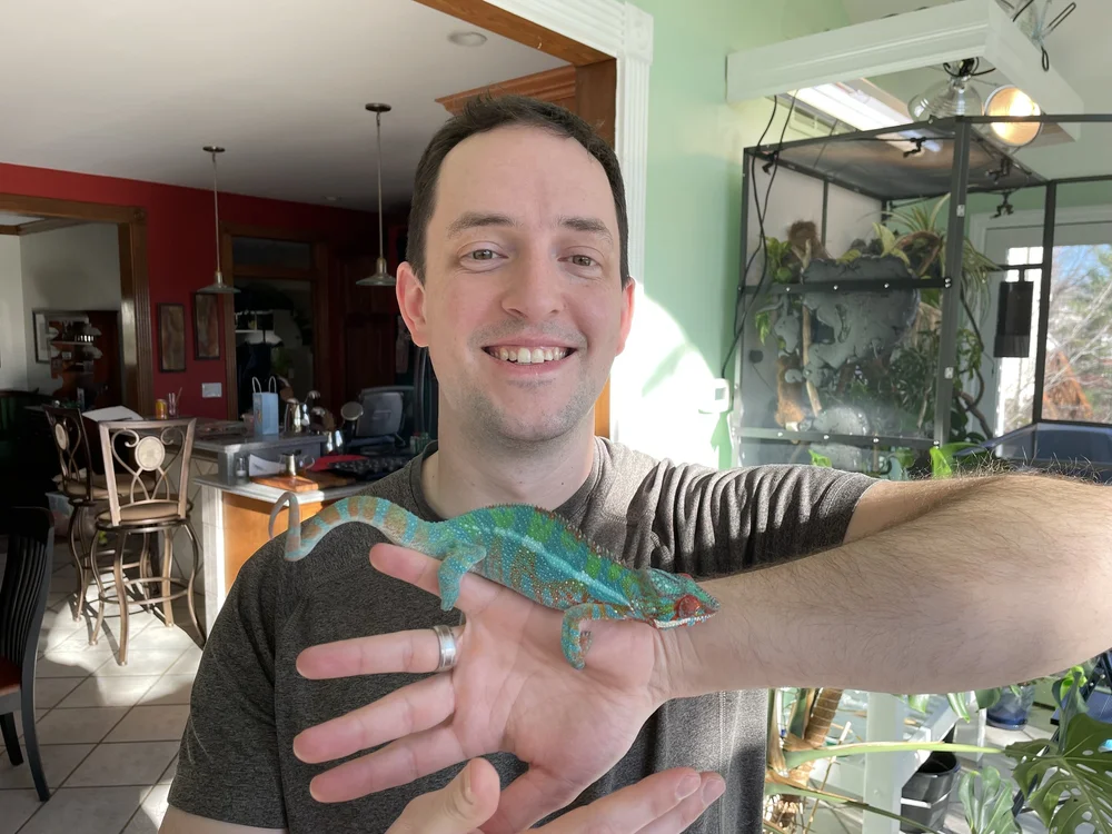 Portal Books LitRPG Publisher