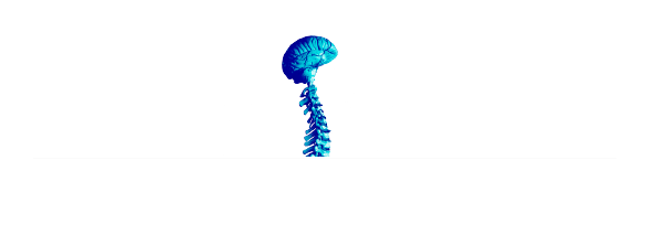 Dr. Steven M. Falowski — Argires Marotti