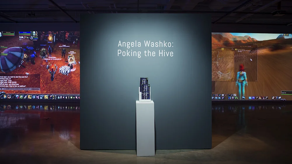 ANGELA WASHKO: POKING THE HIVE — Mason Exhibitions