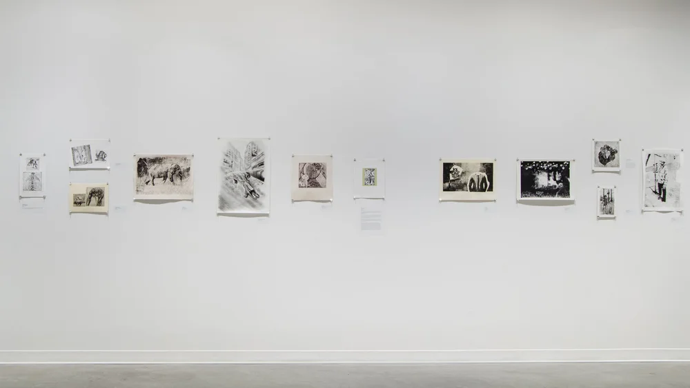 FACES AND FIGURES: IDENTITY THROUGH PRINTMAKING IN SOUTH AFRICA — Mason ...