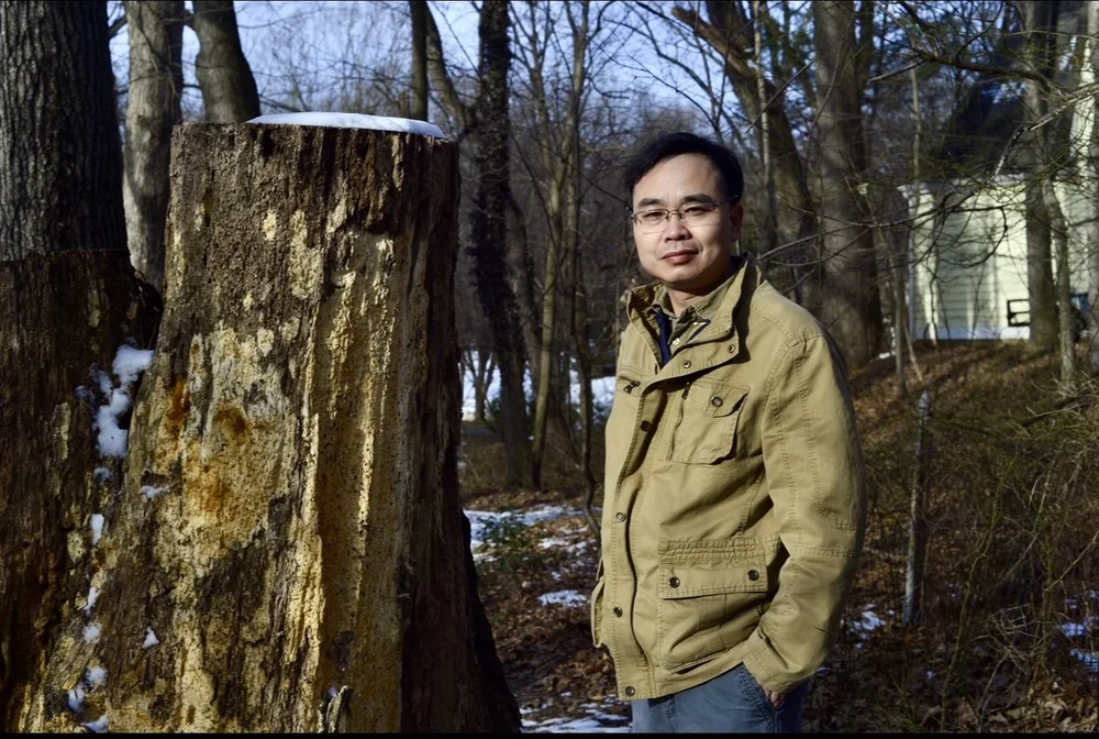ROOTS AND REFLECTIONS: CONTEMPORARY CHINESE ARTISTS IN DC — Mason ...