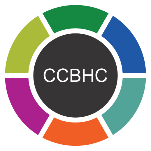 Services — MTM Consulting Services