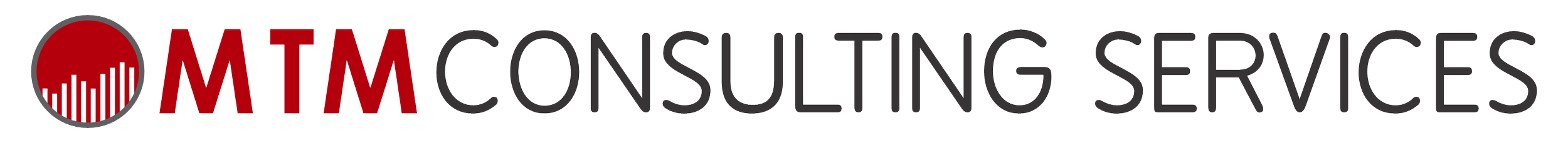 Our Team — MTM Consulting Services