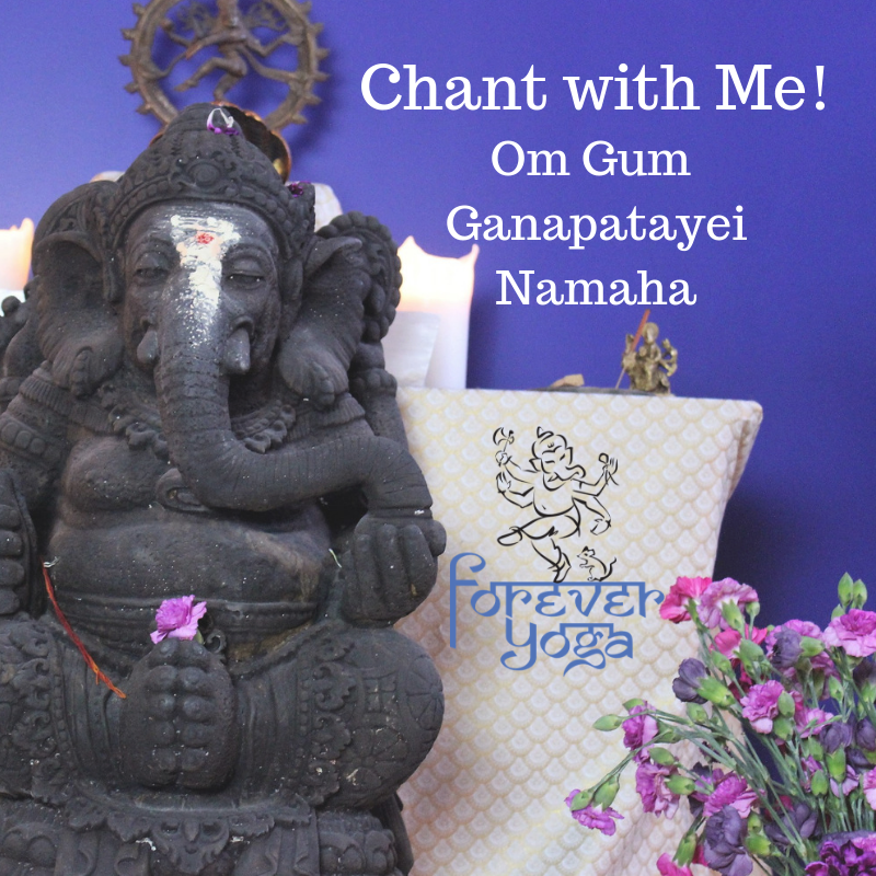 Sanskrit Mantra Download Om Gum Ganapatayei Namaha Mp3 Forever Yoga sanskrit-mantra-download-om-gum-ganapatayei-namaha-mp3-forever-yoga
