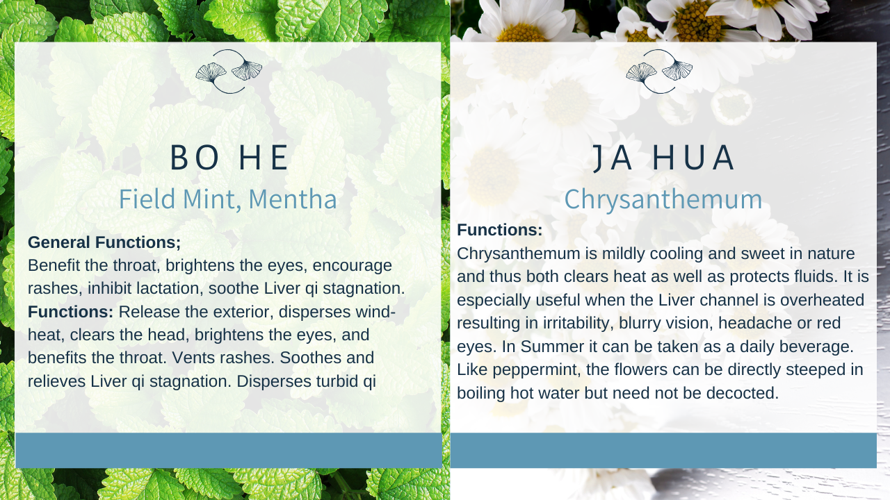 Herbs and Teas for Autumn — Traditional Healing Arts