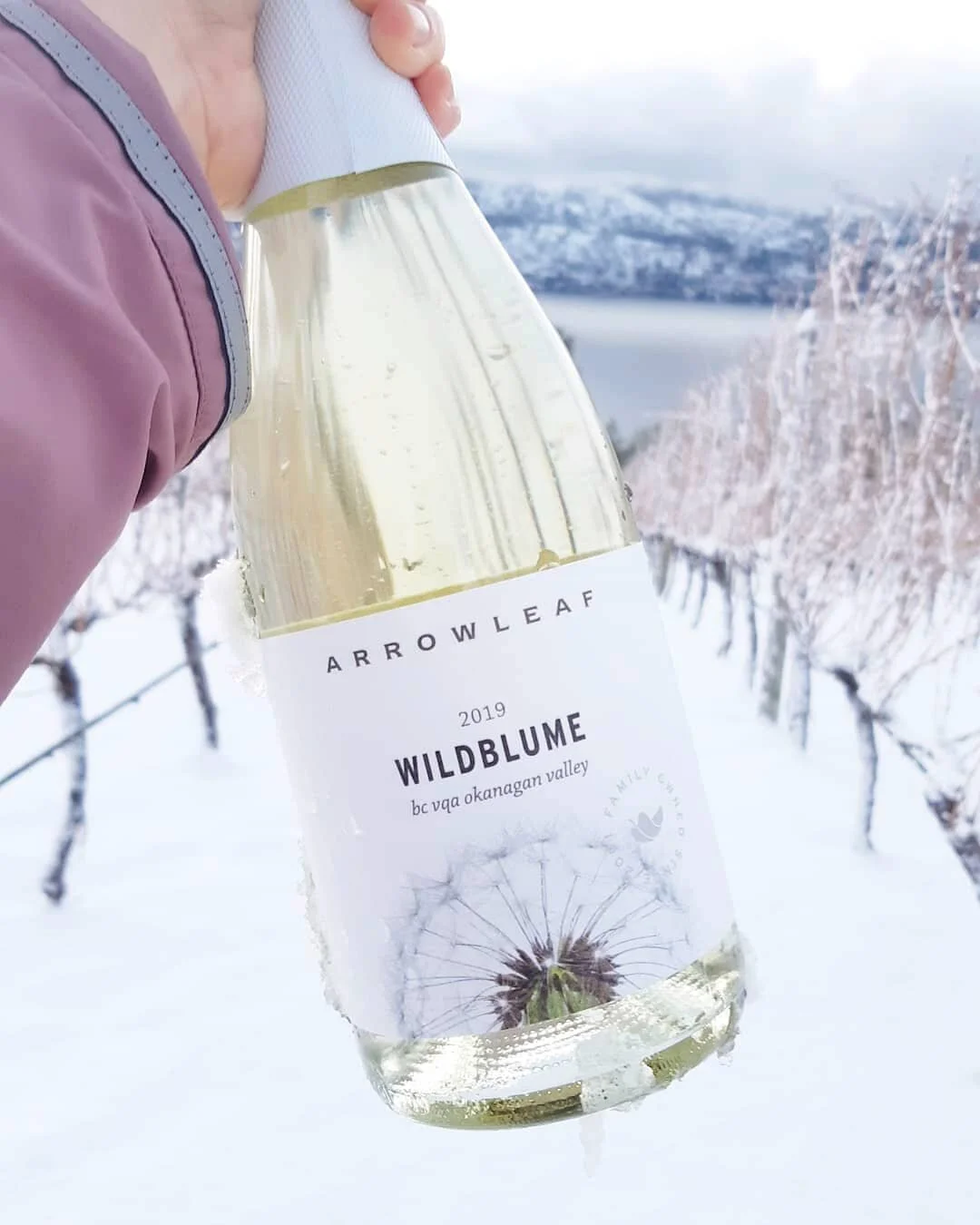 Visit Our Winery | Okanagan Valley, BC — Arrowleaf Cellars