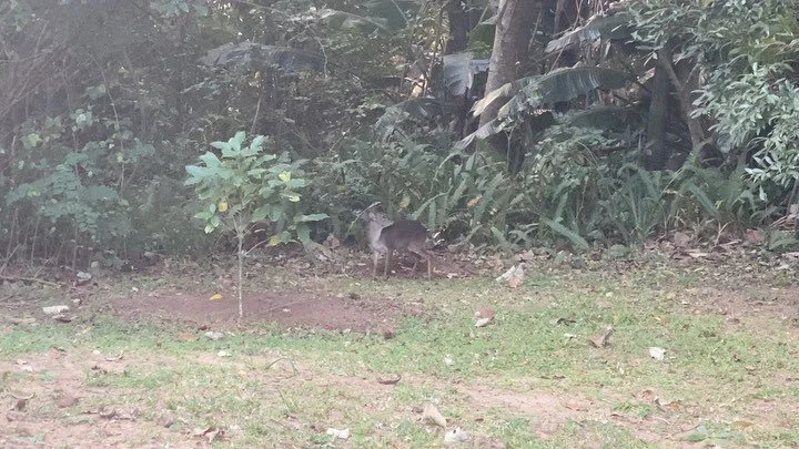 About — Pumula Retreat