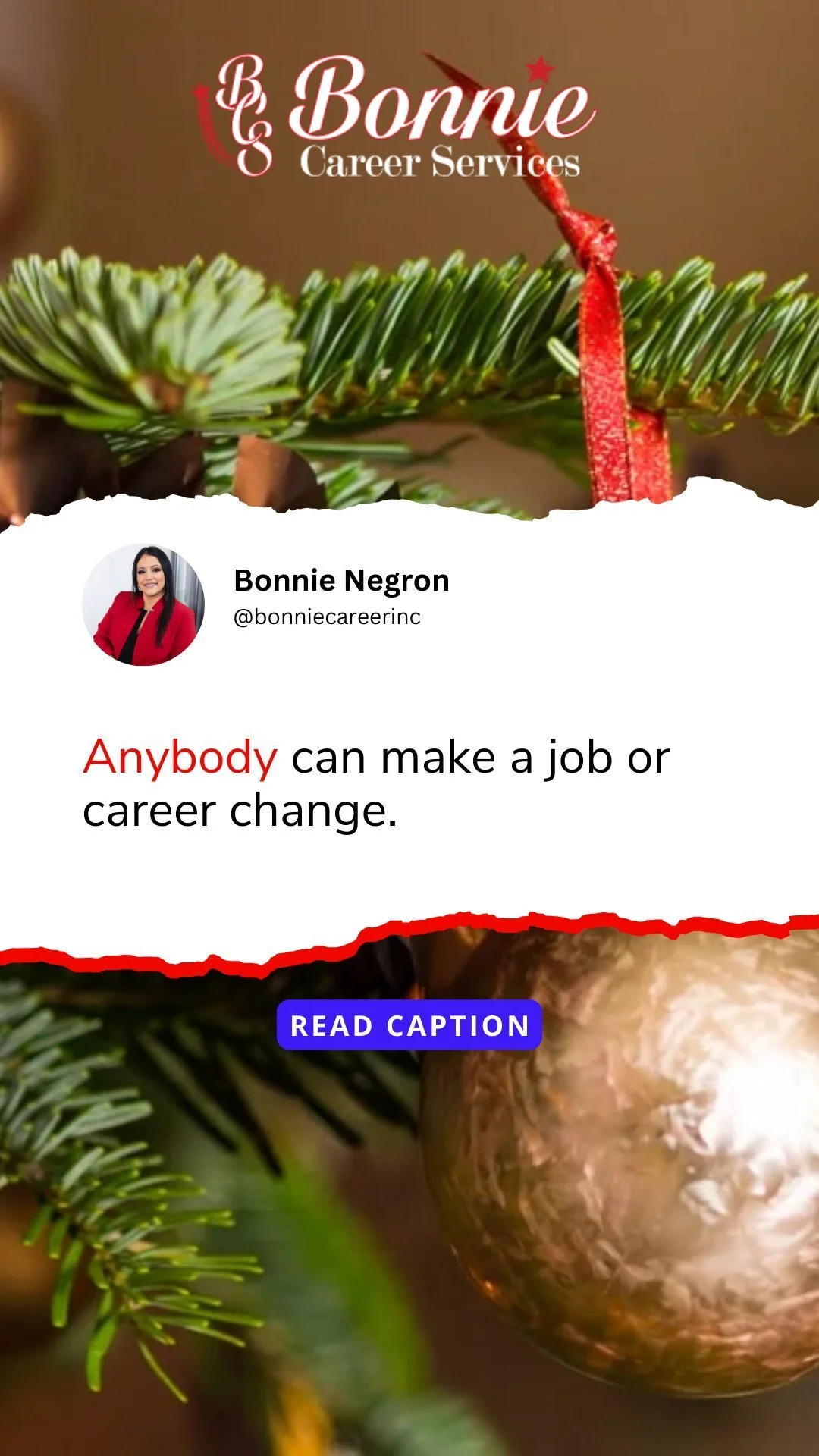 Meet Bonnie — Bonnie Career Services, Inc. - Career Coaching ...