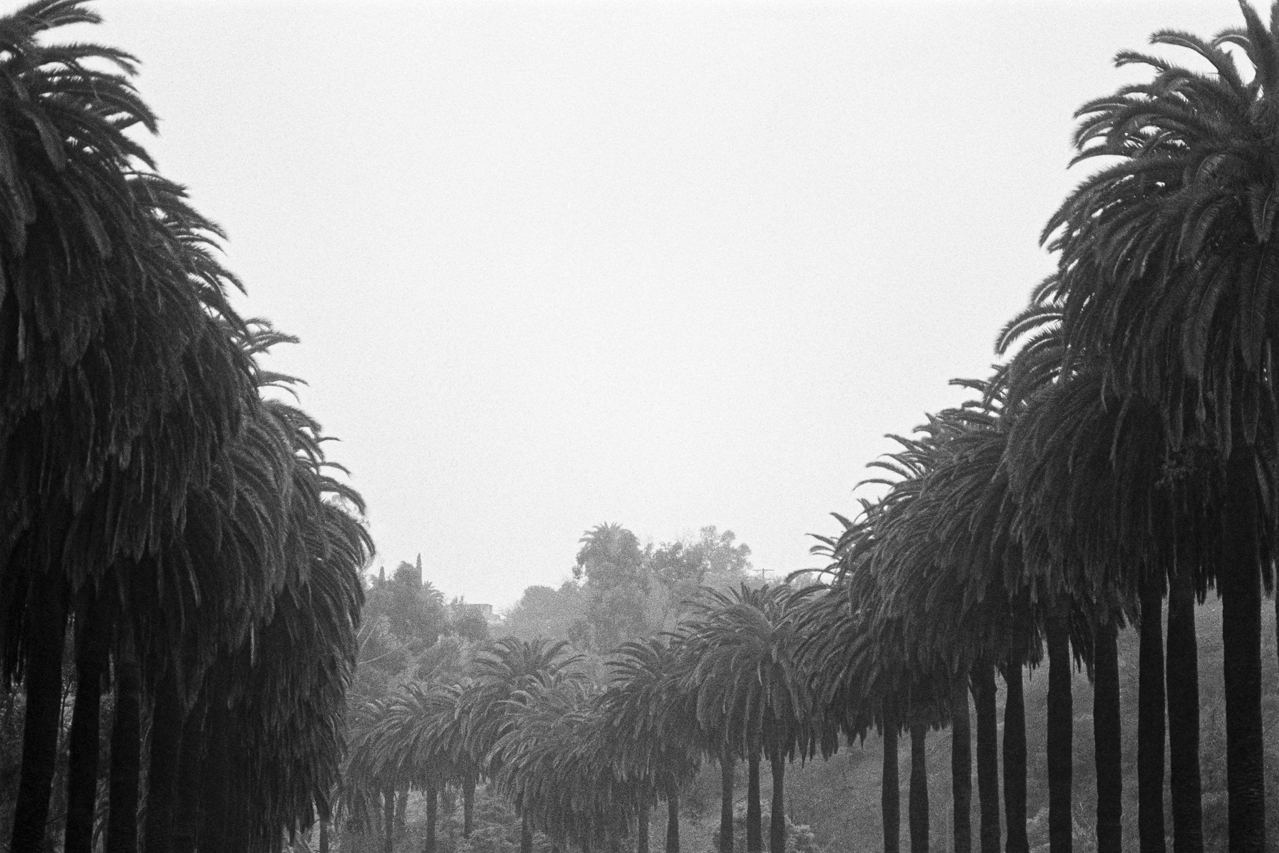 NATHAN QUINTON SEBAKIJJE