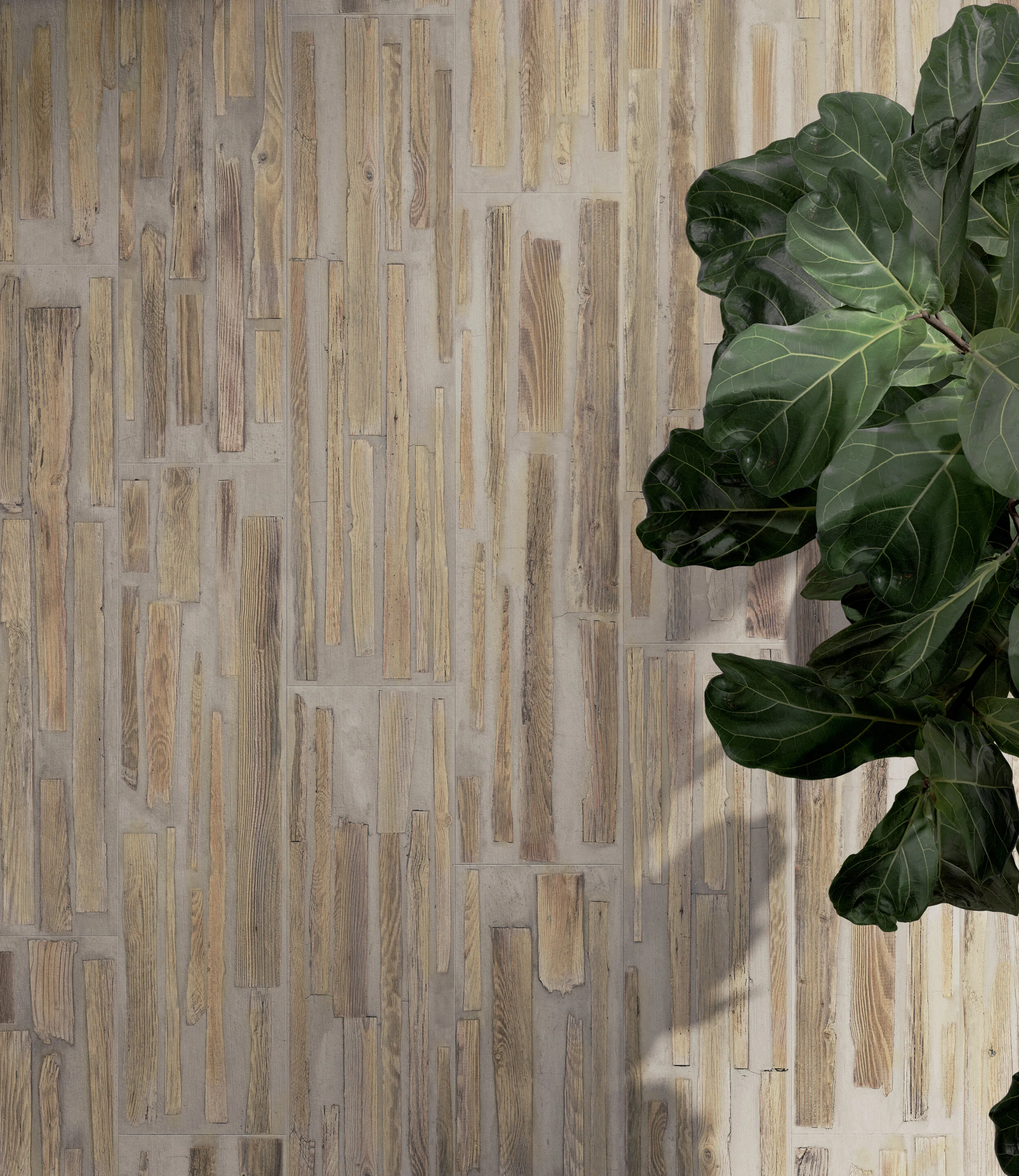 Wood Look — Iberia Tiles | Premium Tiles, Slabs, Stone and mosaics in Miami