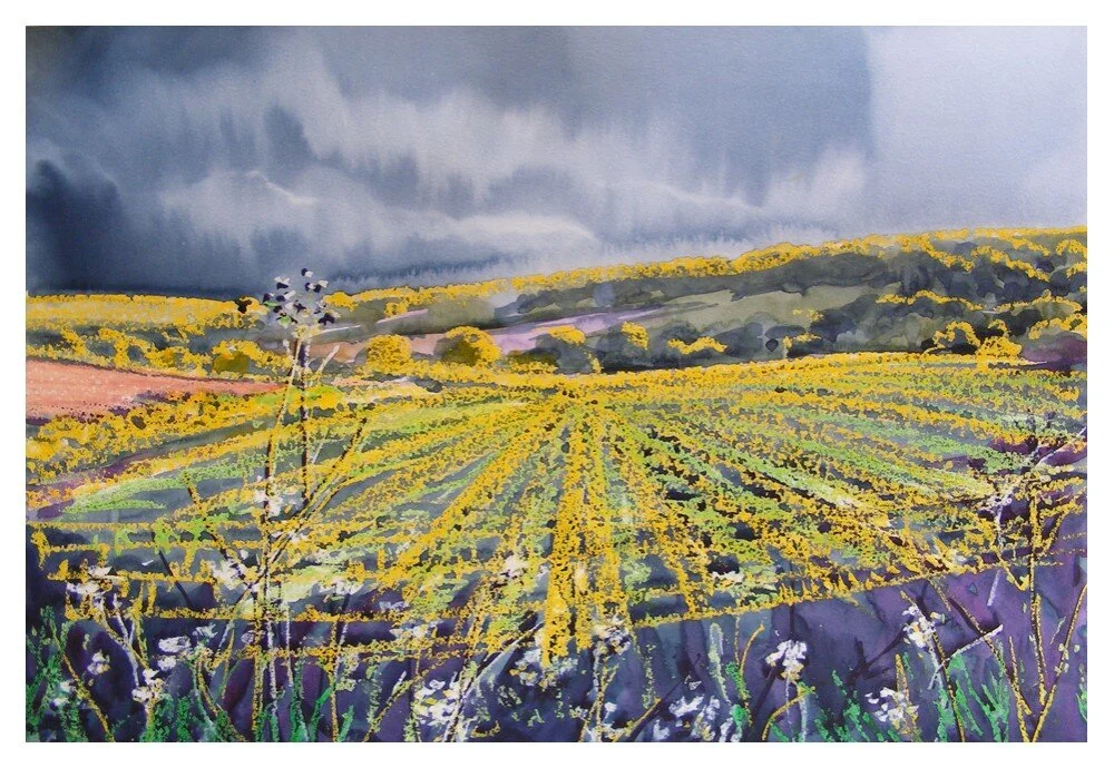 Artist's statement — Marcus Finch Artist