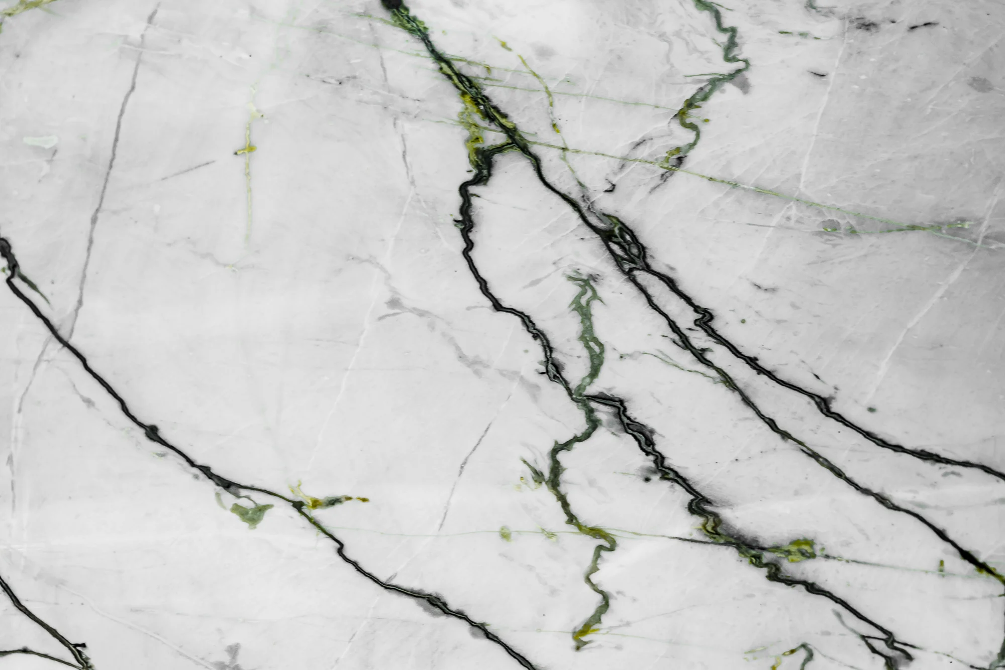 Anima Paris Restaurant