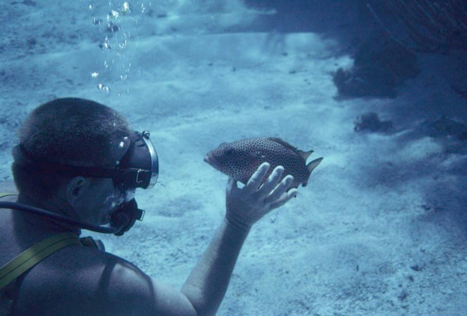 Bermuda's Ocean Elder — Teddy Tucker - Ocean Explorer