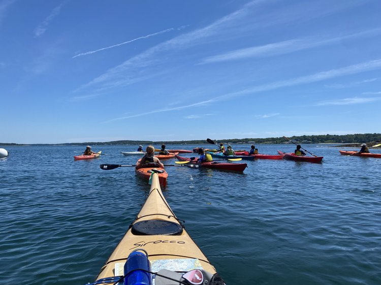 Youth Partner Programs — Rippleffect