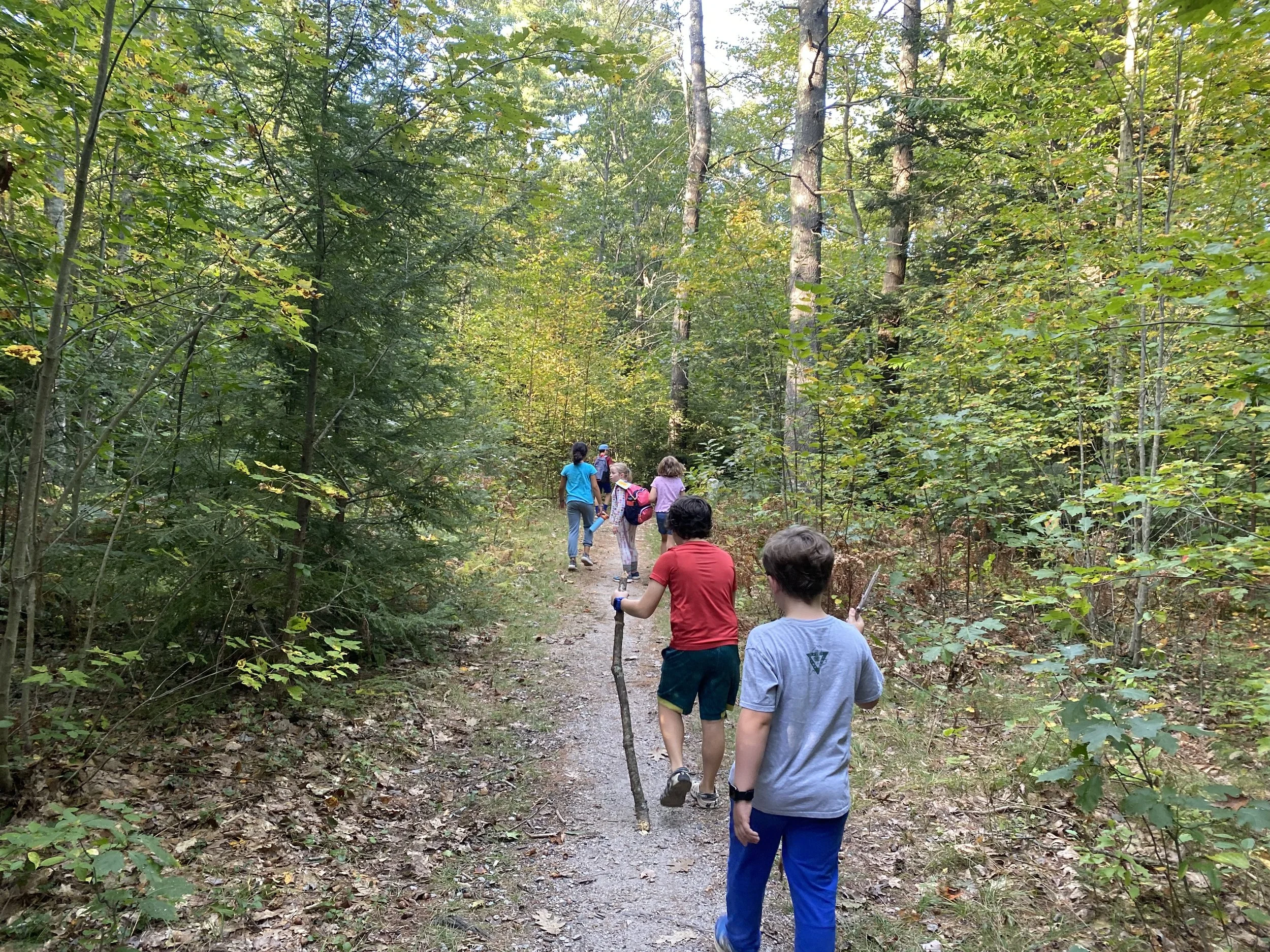 ROCC Summer Program Overview — Rippleffect