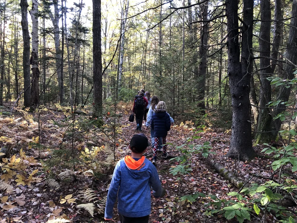 School Year Program Overview — Rippleffect