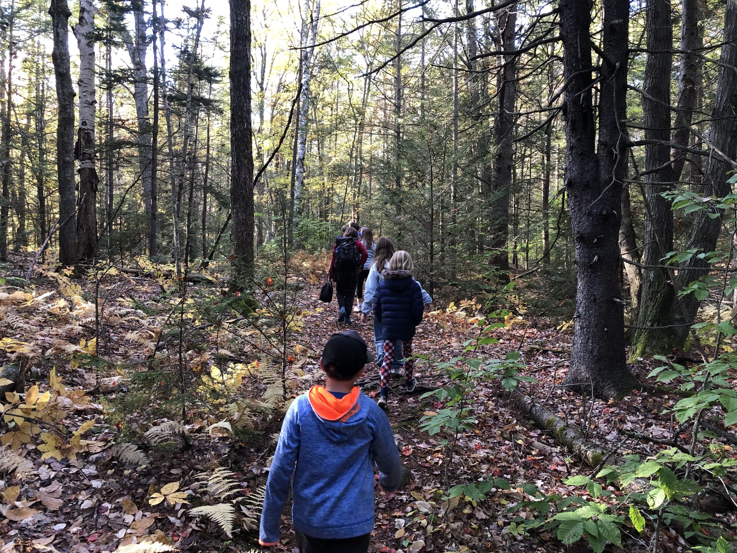 School Year Program Overview — Rippleffect