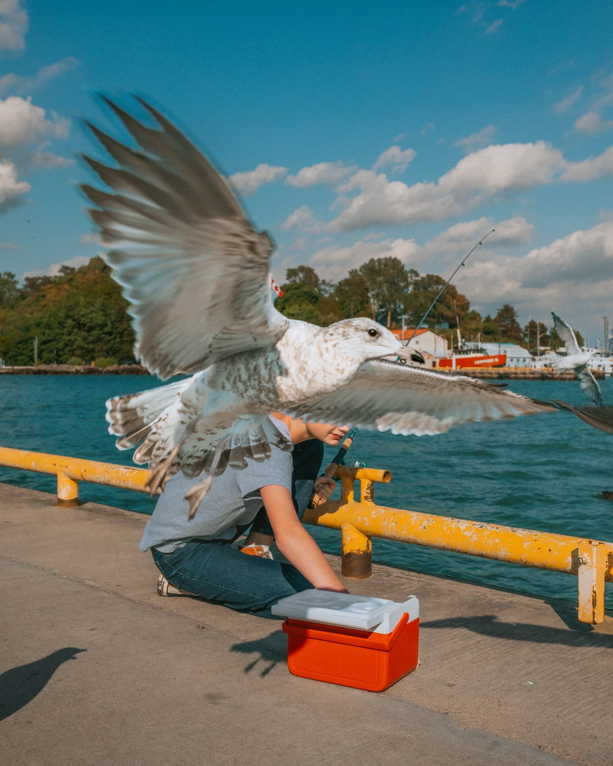 Mastering Composition – 5 Easy Ways to Instantly Improve Your Photos ...