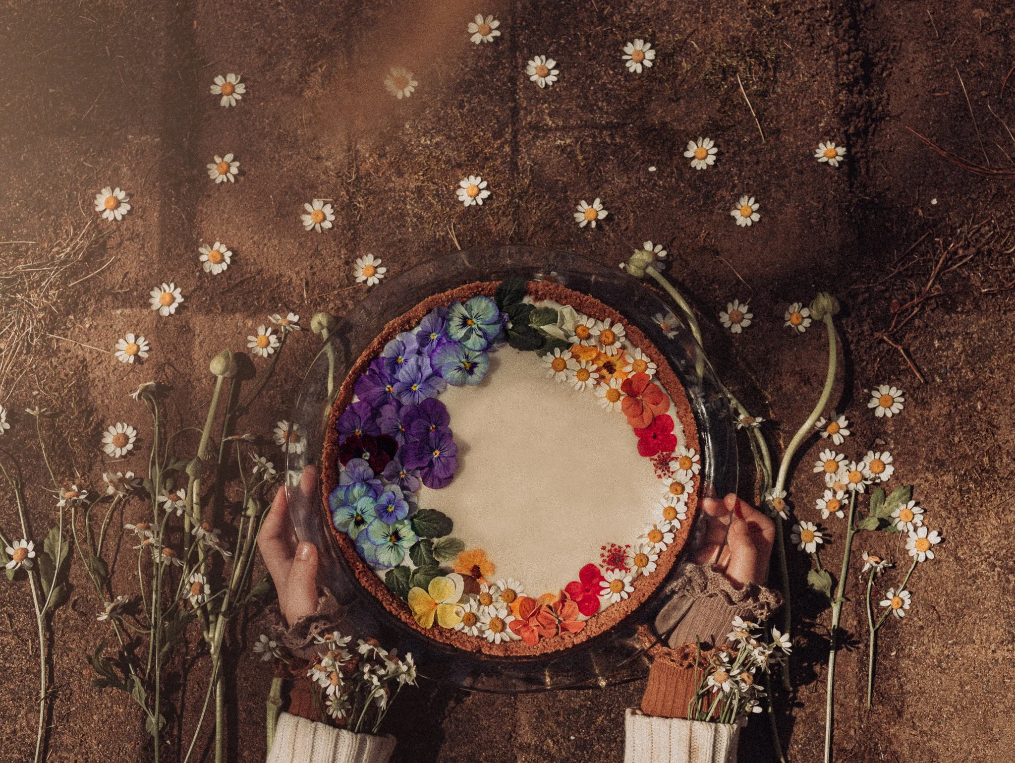 Embracing The Renewal Of Spring: Finding Inspiration Through ...