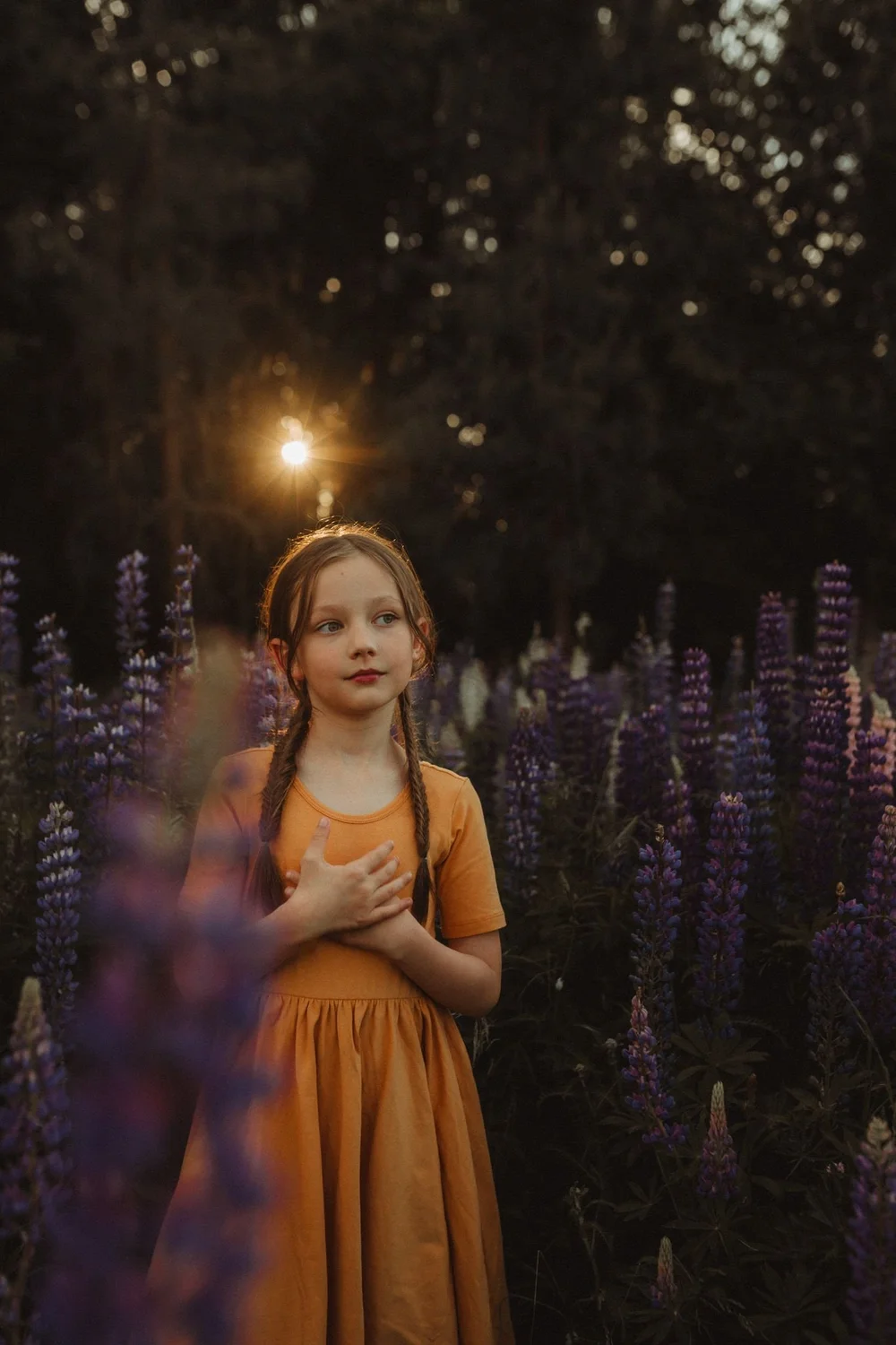 Embracing The Renewal Of Spring: Finding Inspiration Through ...