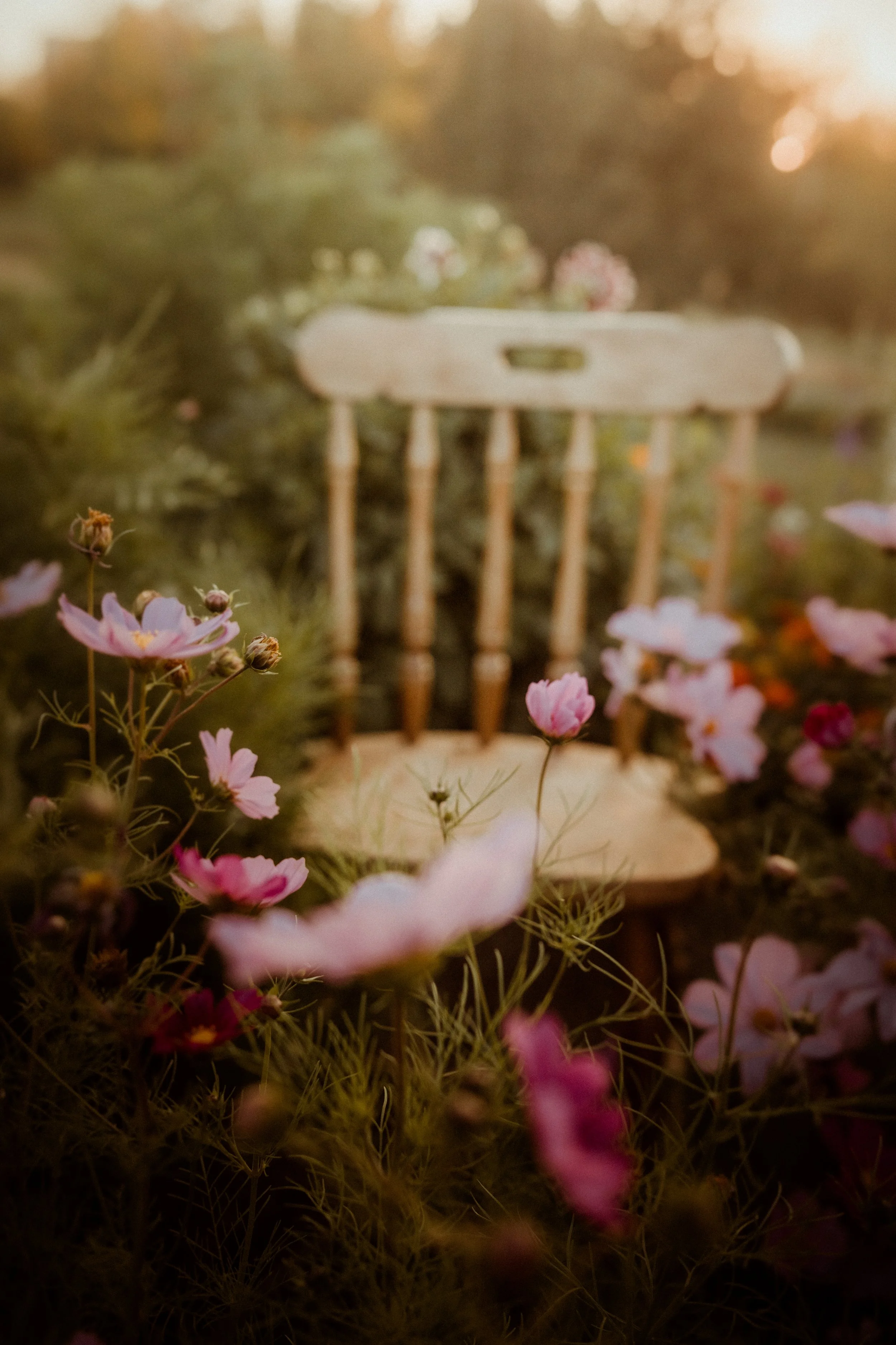 Embracing The Renewal Of Spring: Finding Inspiration Through ...