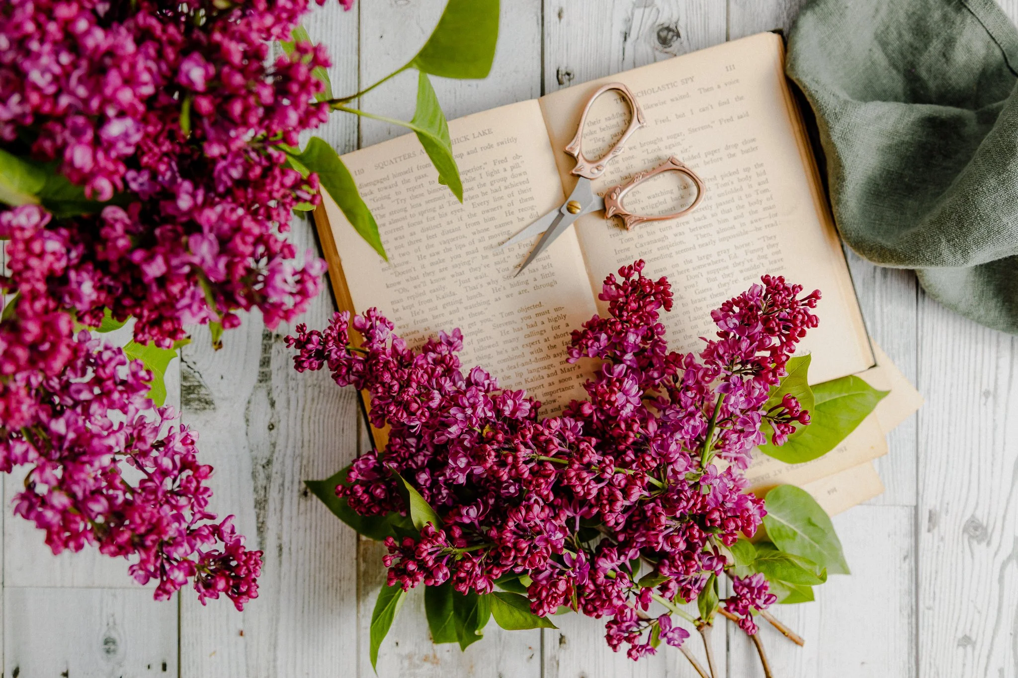 Embracing The Renewal Of Spring: Finding Inspiration Through ...