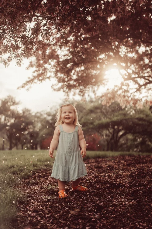 Embracing The Renewal Of Spring: Finding Inspiration Through ...