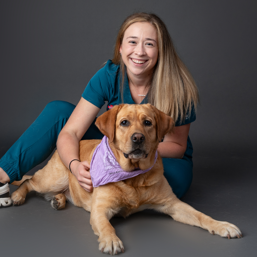 Veterinary Hospital Staff - Lake Barrington, Illinois — Animal Hospital ...