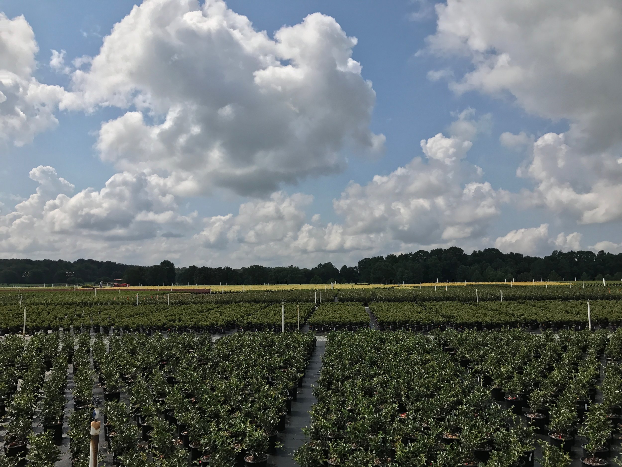 Panoramic Farms