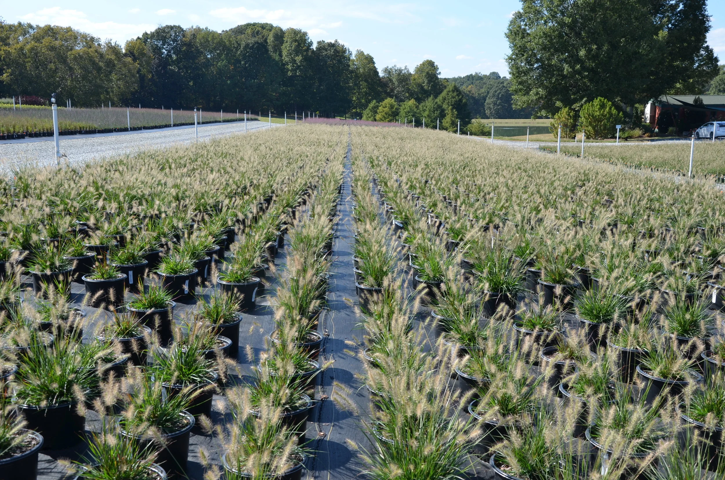 Crop Photos — Panoramic Farm