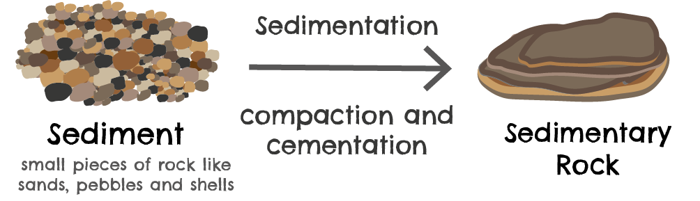 Sedimentary Rocks Facts