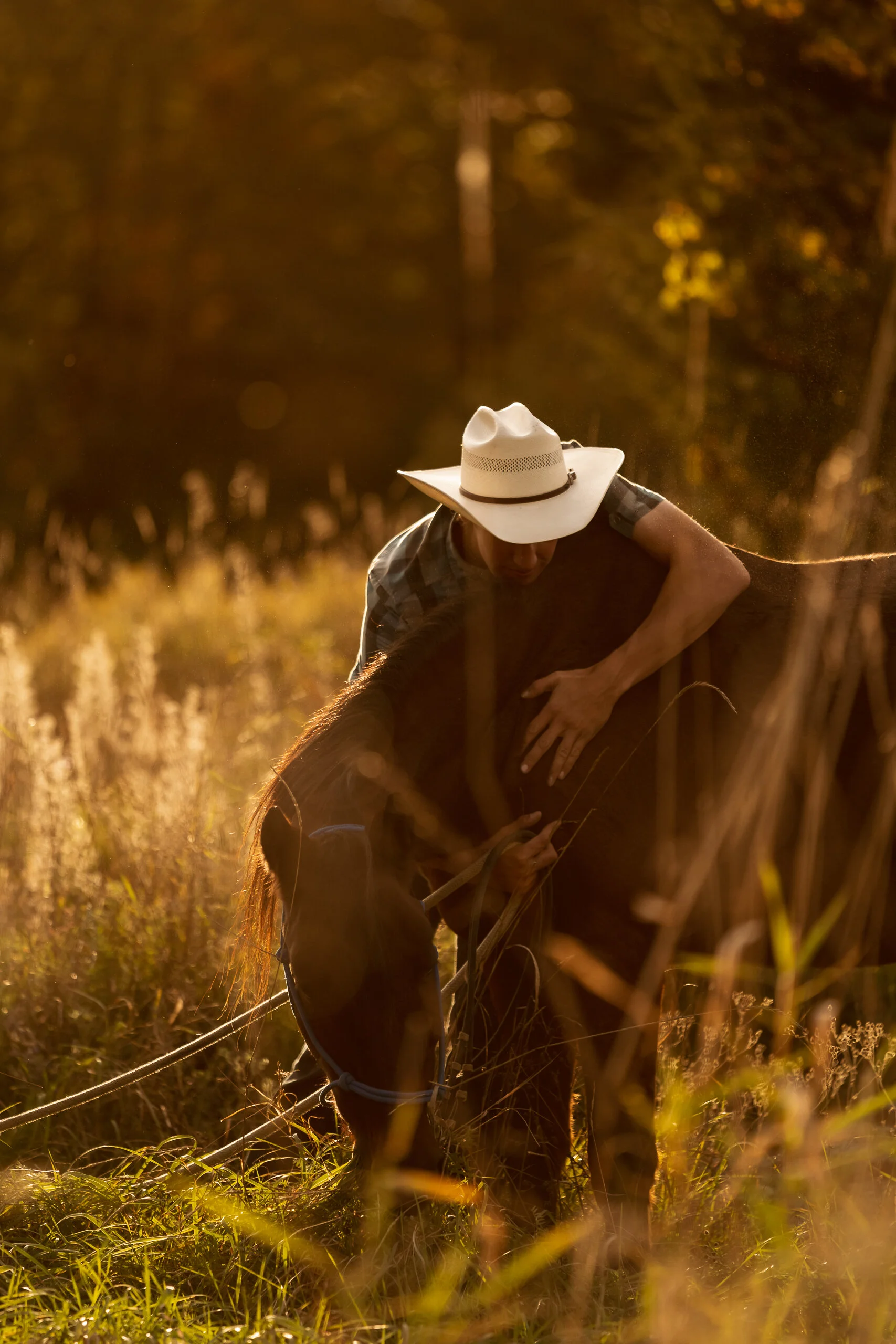 Easing into the Fall Colors at Celtic Creek Ranch — Samantha Mirzaee ...