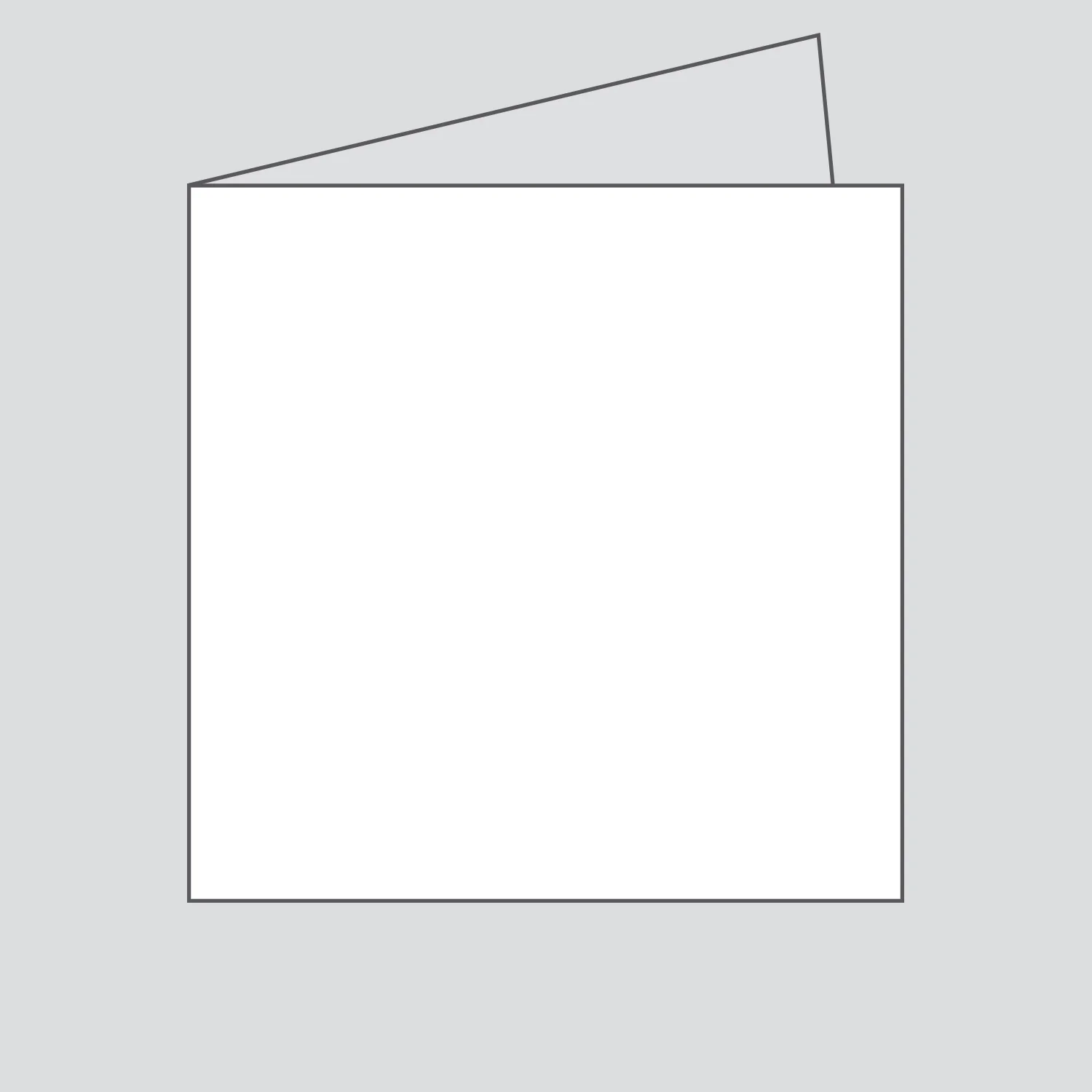 Album Jacket — Noiseland Industries - Vinyl Record Pressing