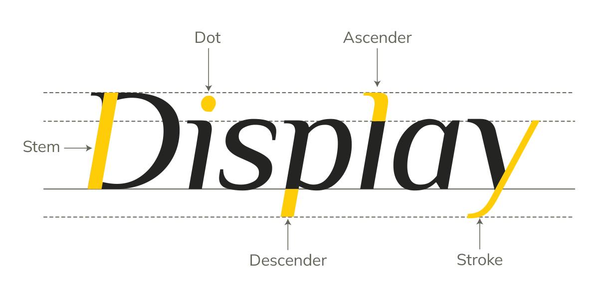 Displays — Inbal Goldman