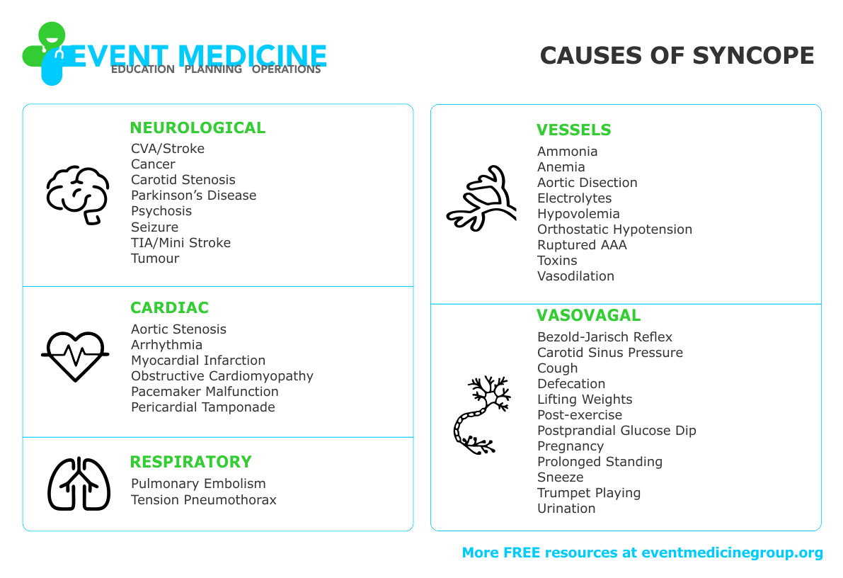 Patient Assessment — Event Medicine Group - Education, Planning ...