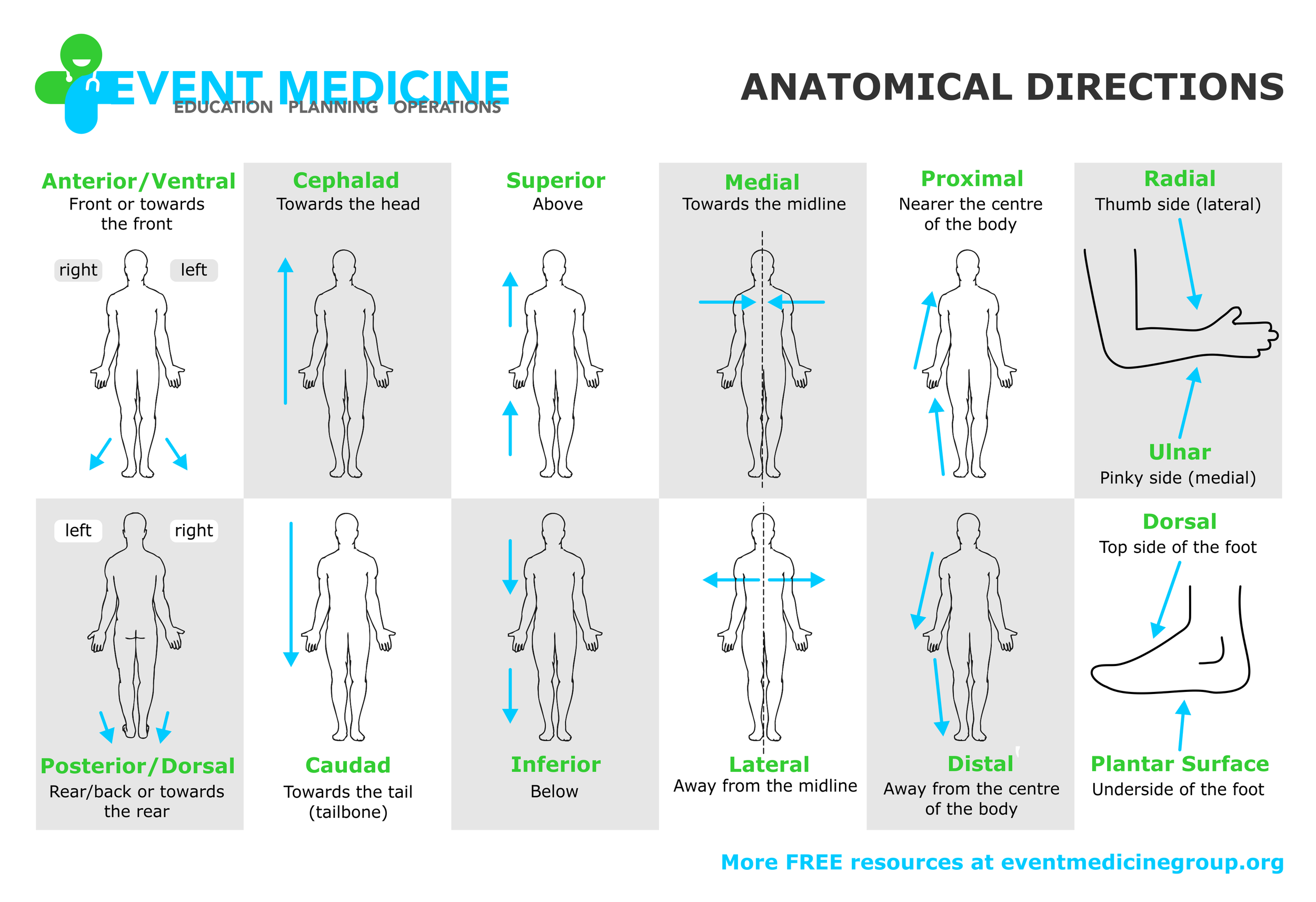 Patient Assessment Event Medicine Group Education Planning Patient Assessment Event Medicine Group Education Planning