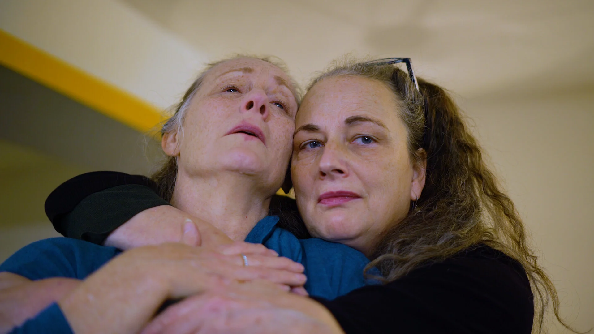 Current Projects — Toby Vera Bercovici