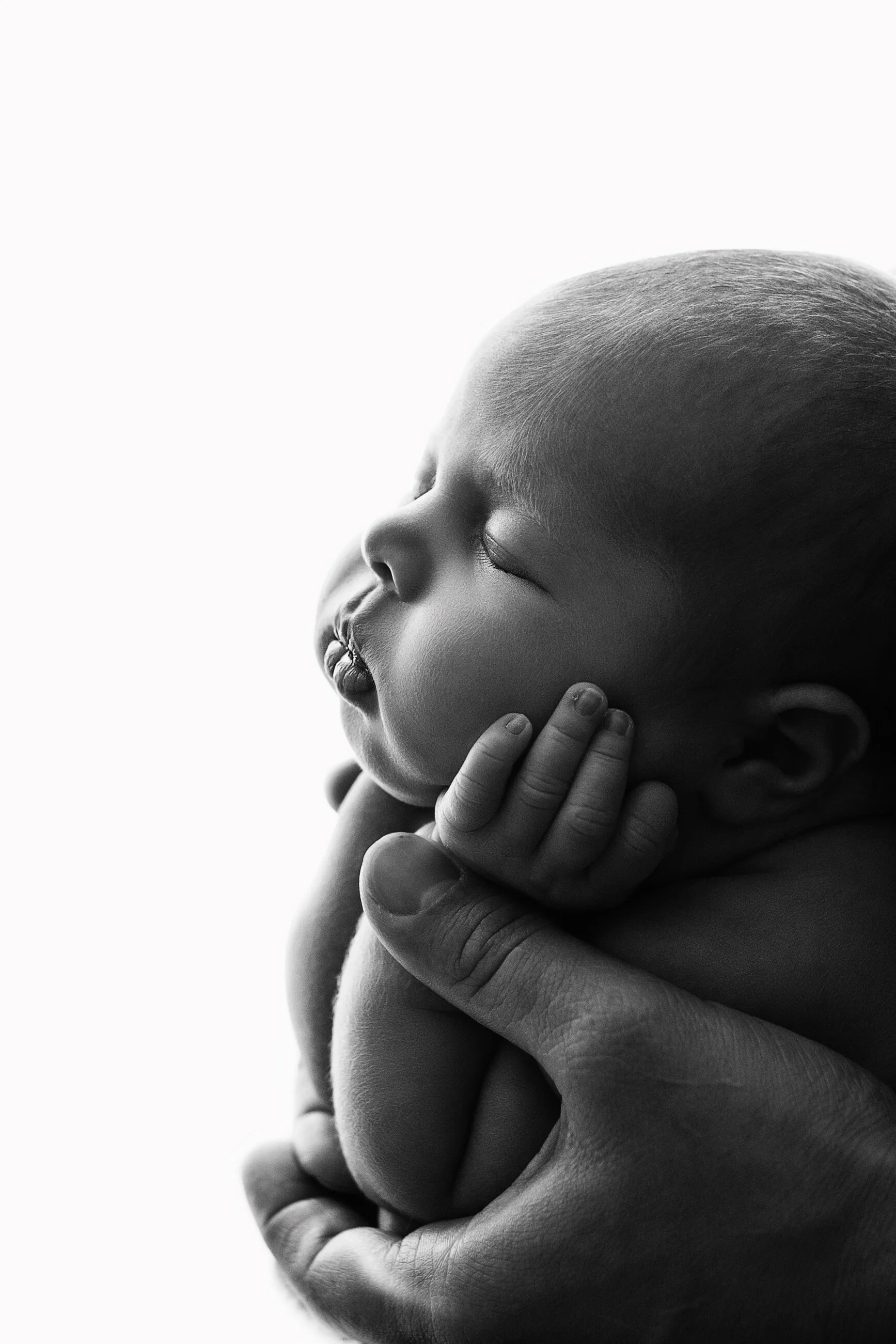 Newborn Photography Sydney - Baby Photography Hills District