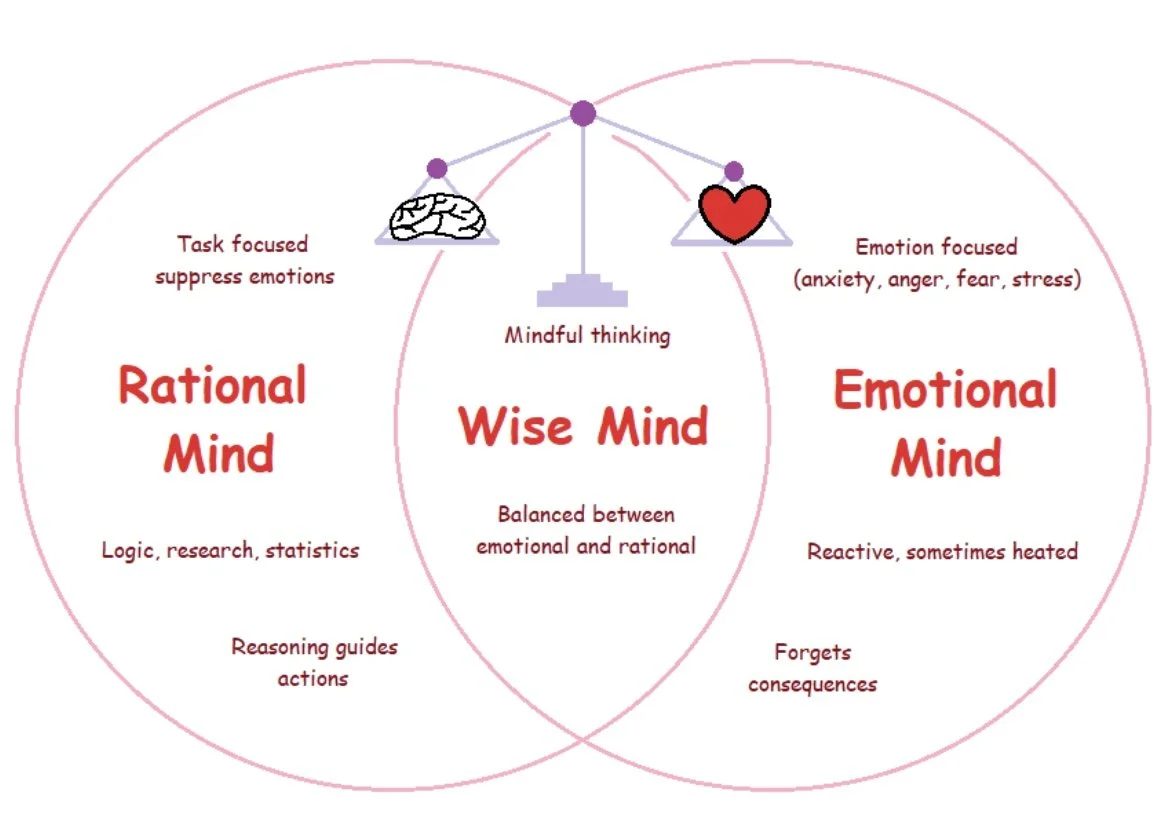 Wise Mind — snikki eats