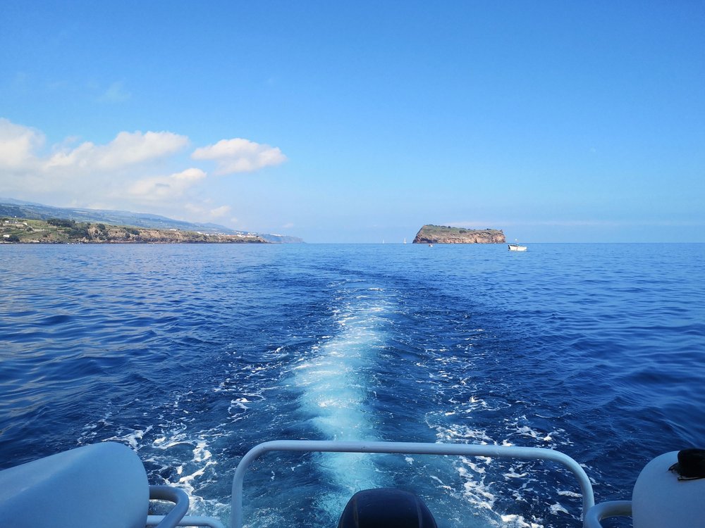 Azores Glass-Bottom Boat Experience & Snorkeling Tour — Azores Activity ...