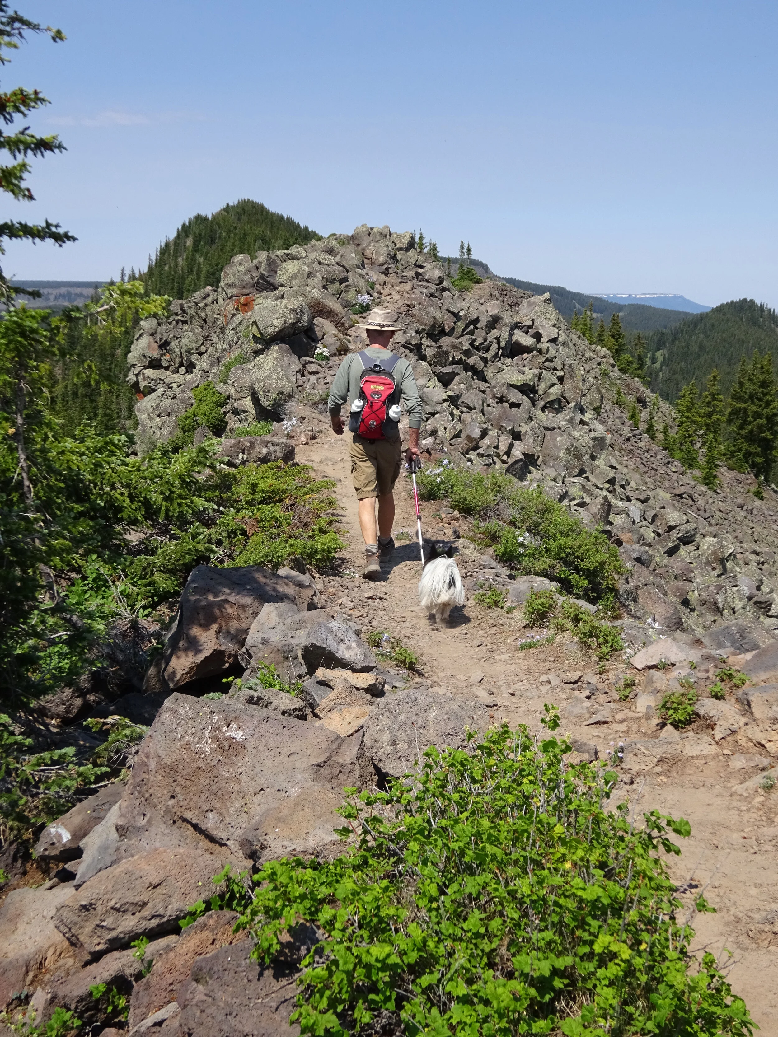 Take A Hike: Crag Crest Trail Loop