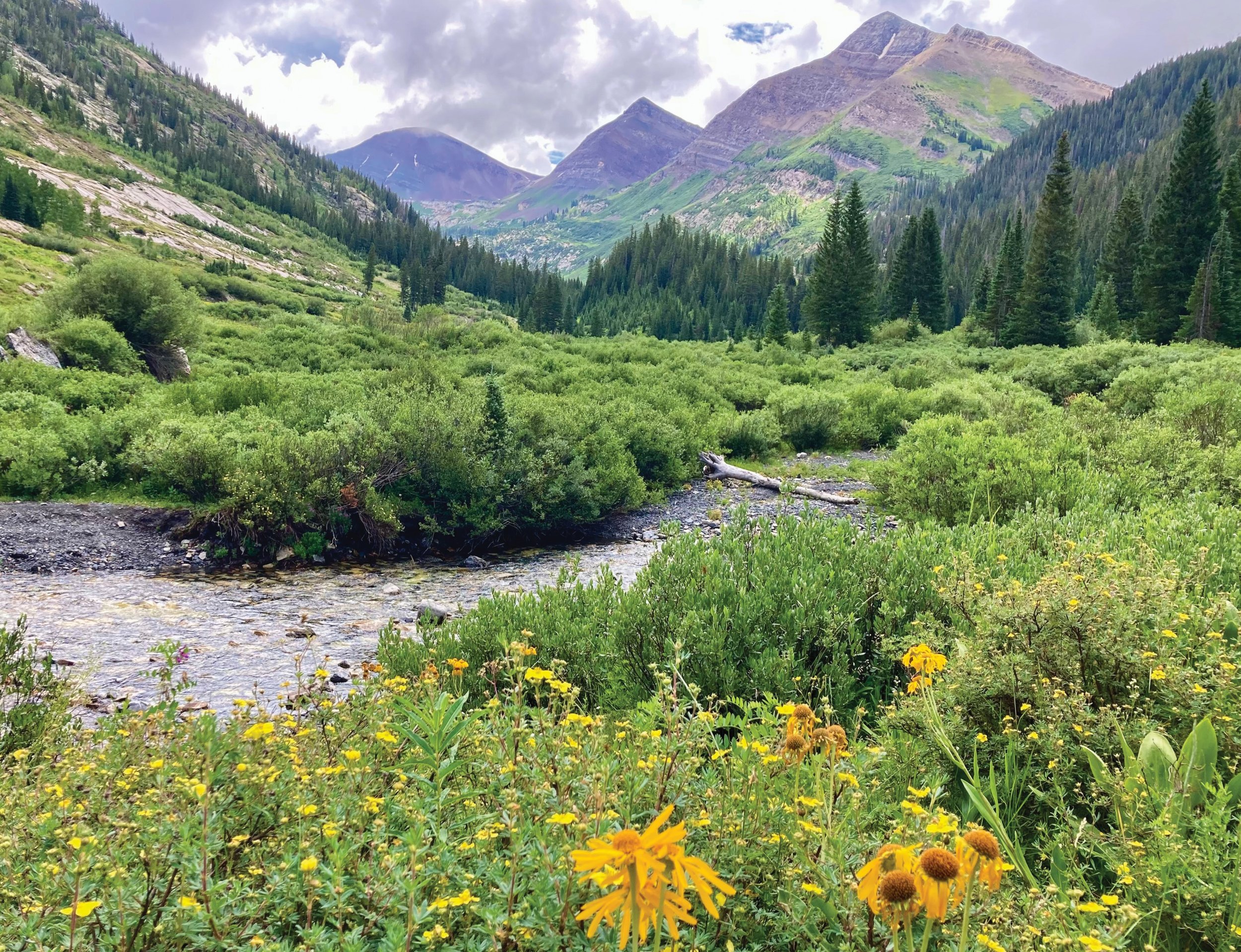 Take A Hike In Marble, Colorado: Yule Creek Trail