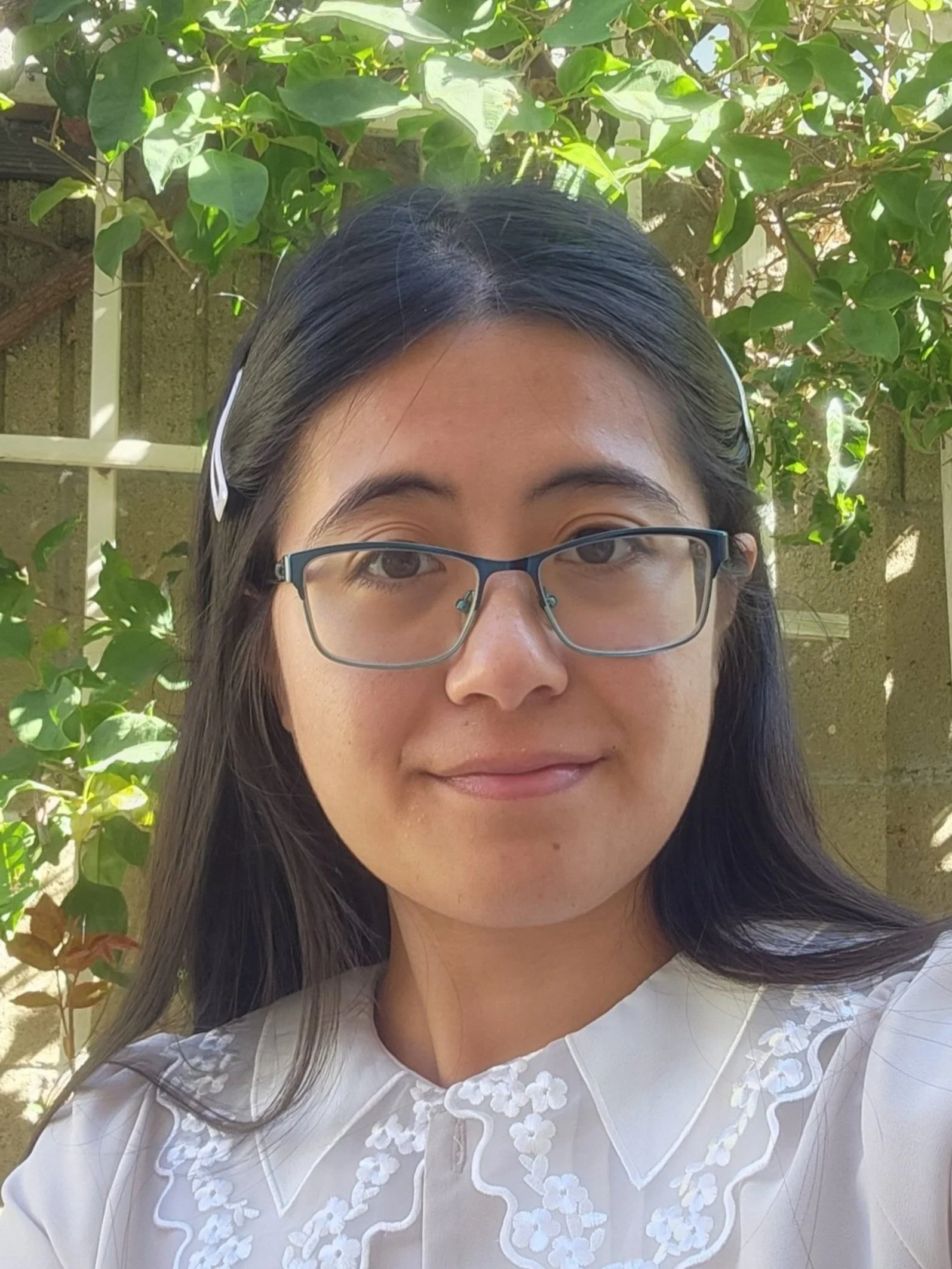 Sulma Hernandez's Instagram, Twitter & Facebook on IDCrawl