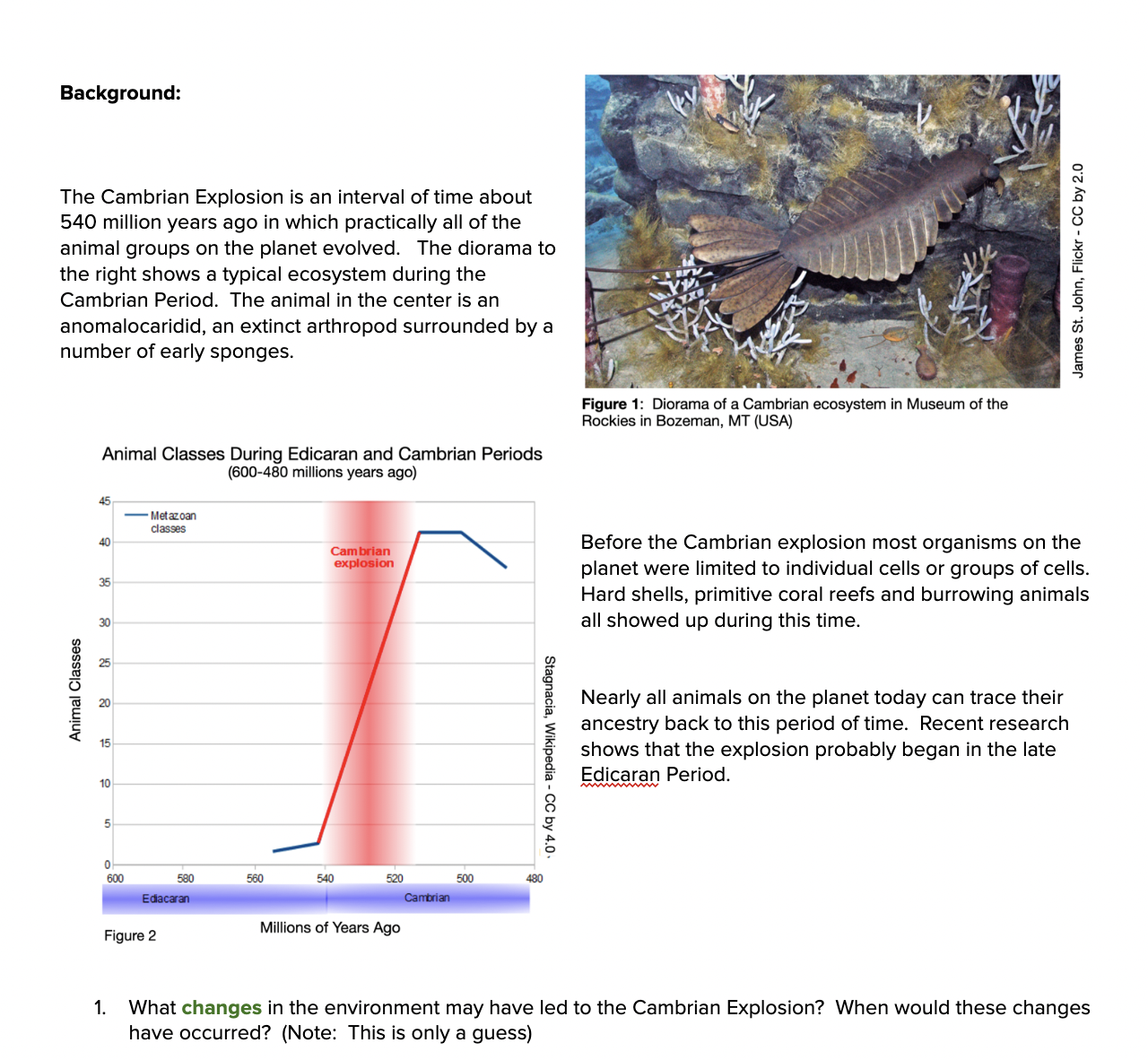 What Caused the Cambrian Explosion? — The Wonder of Science