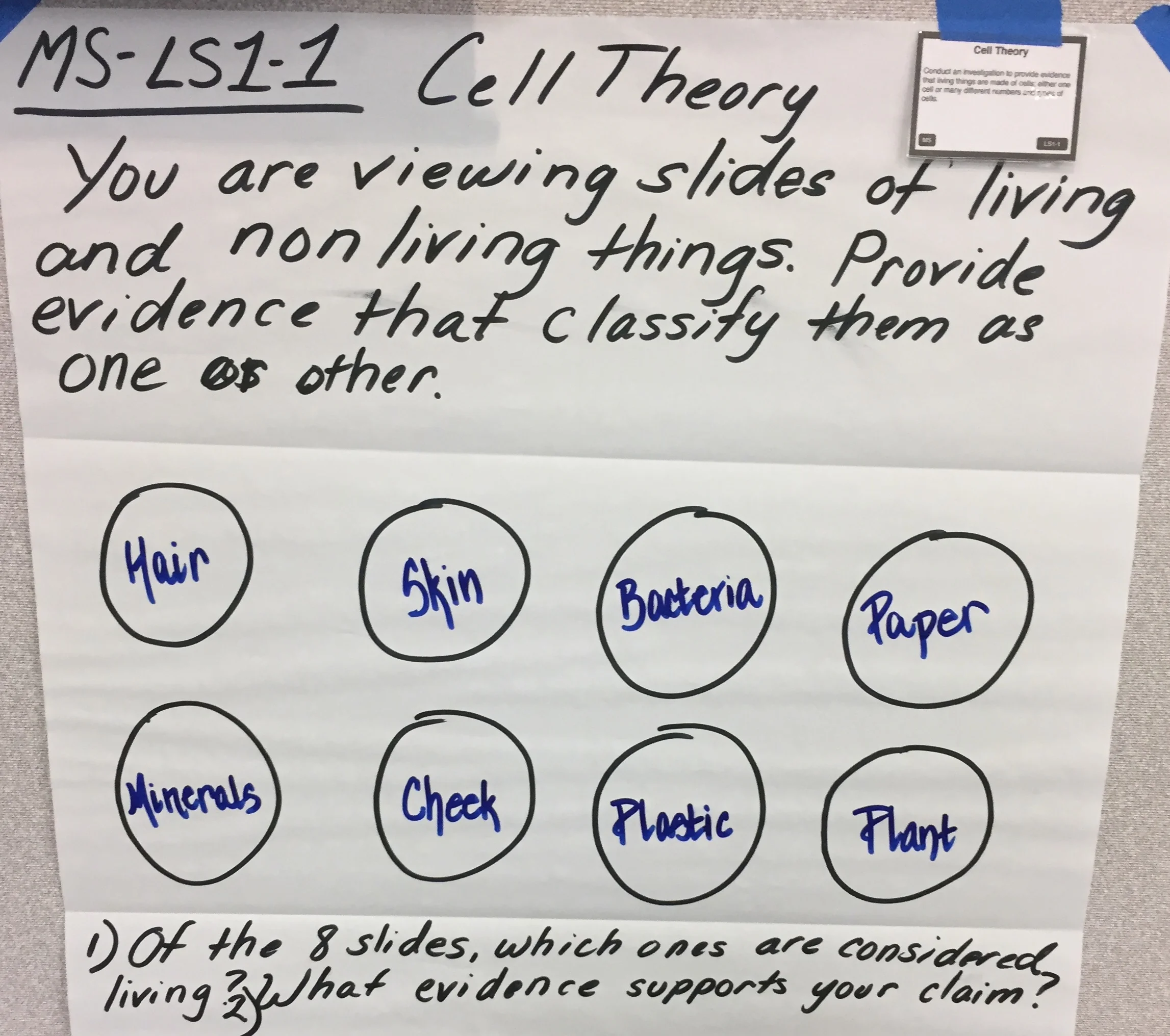 Viewing Slides — The Wonder of Science