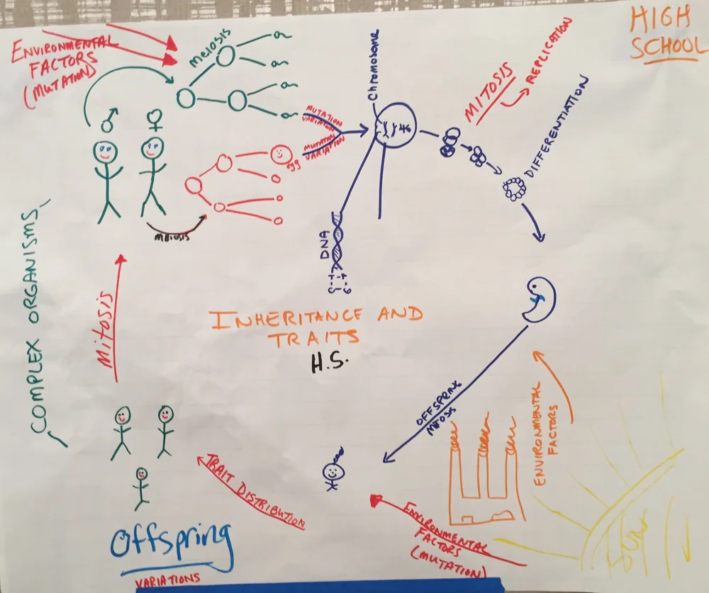 Inheritance and Variation — The Wonder of Science