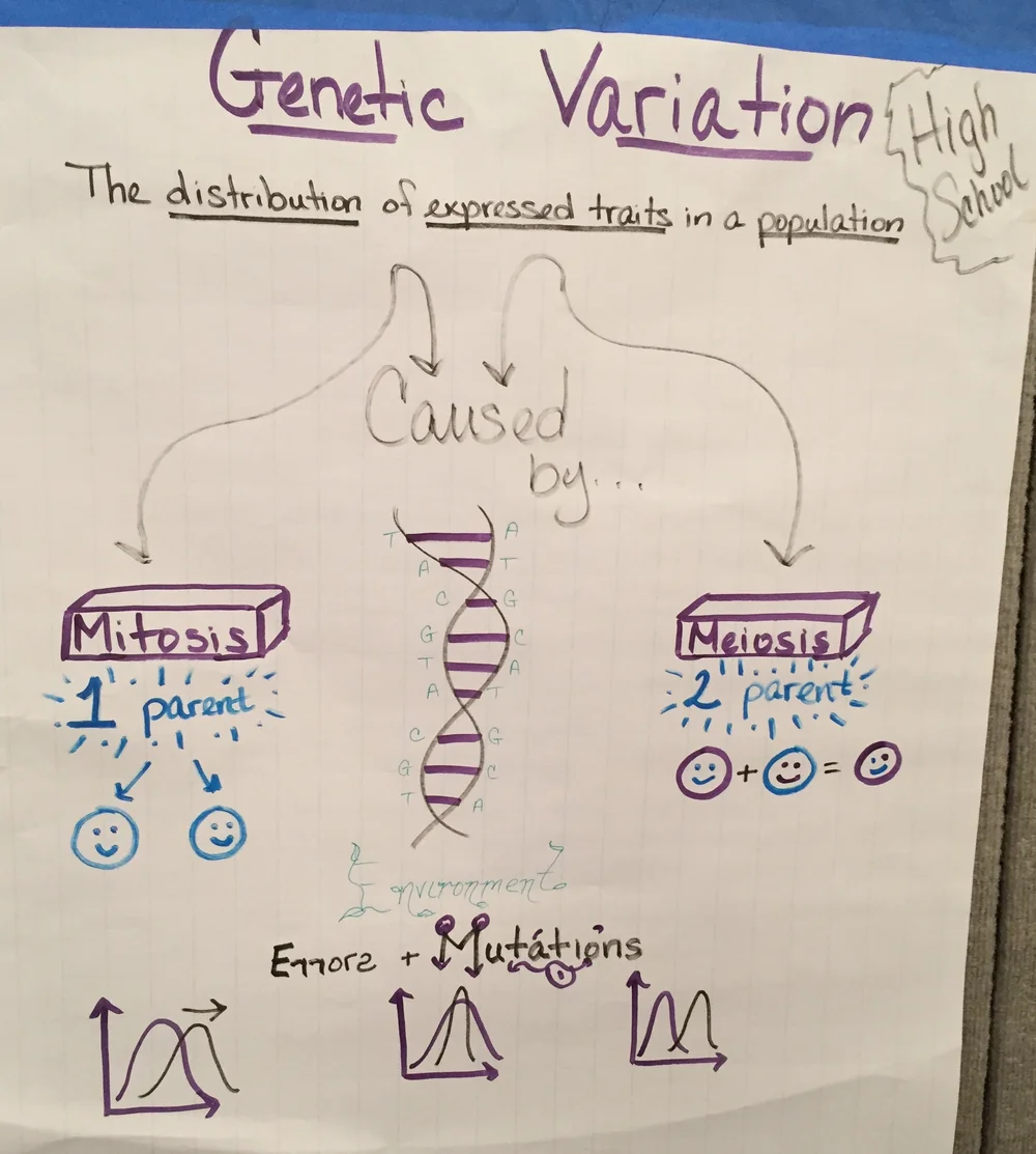 Inheritance and Variation — The Wonder of Science